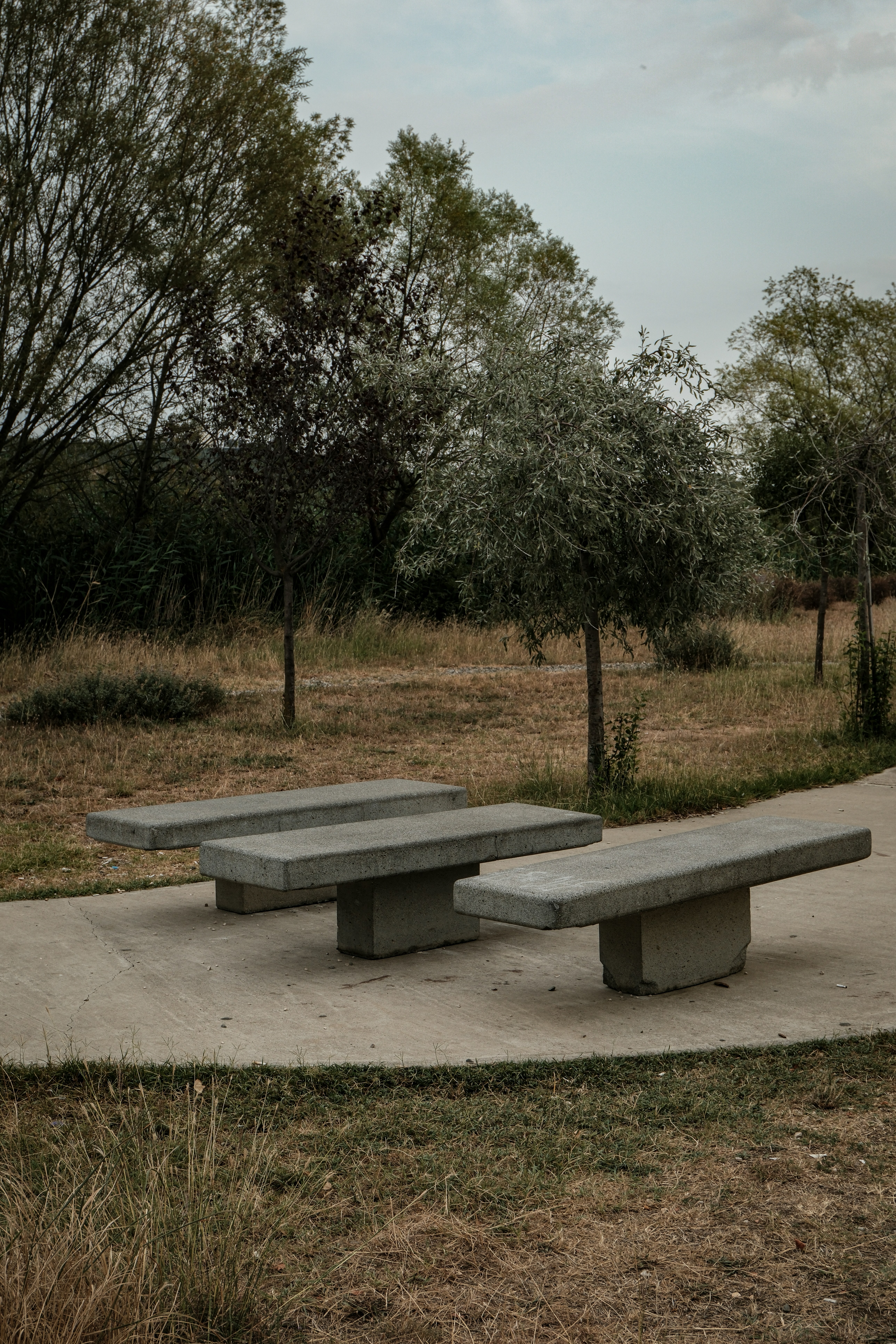 Concrete Serenity: A Modern Retreat in Nature
