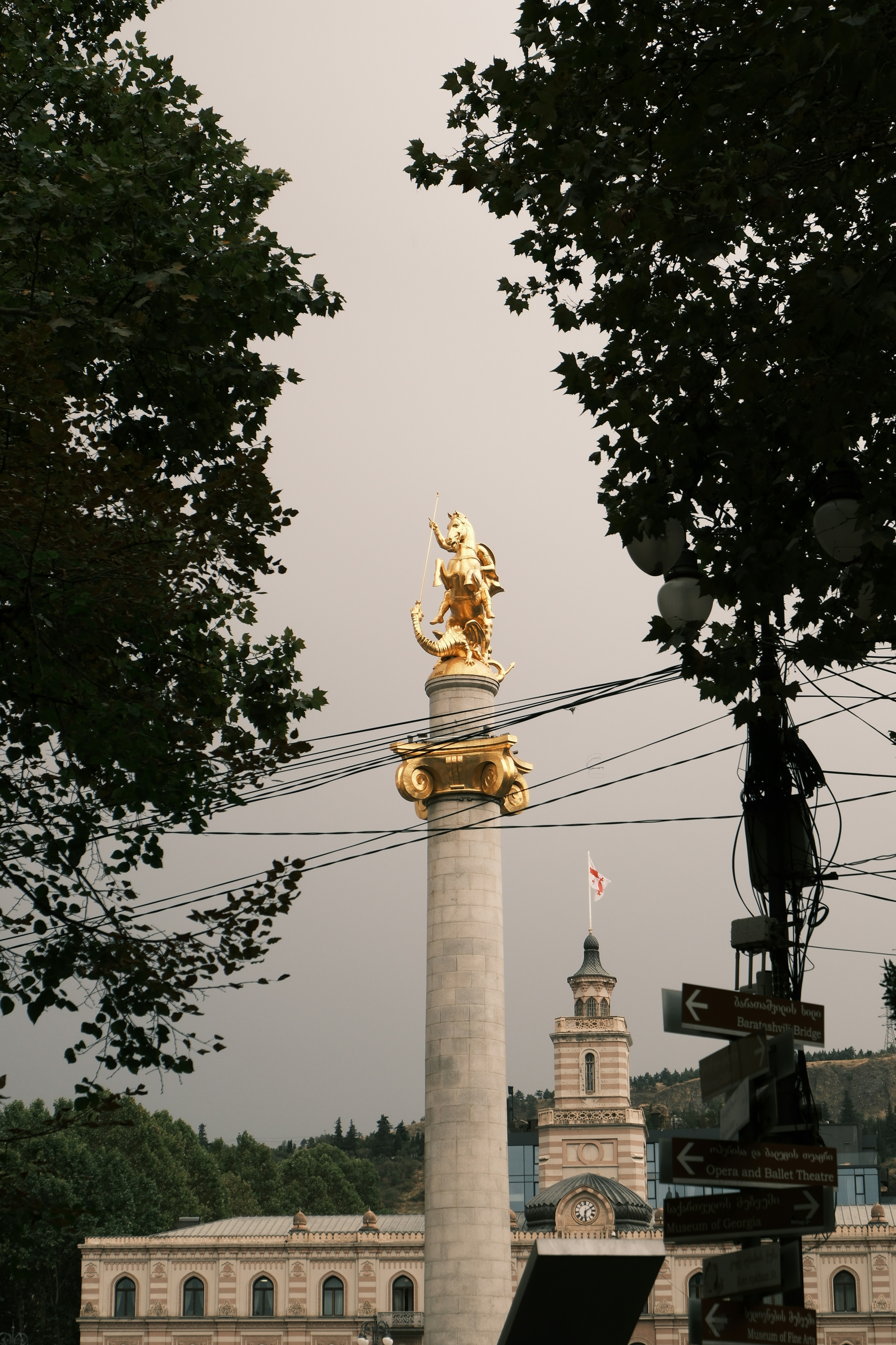 Golden Triumph Amidst Urban Shadows