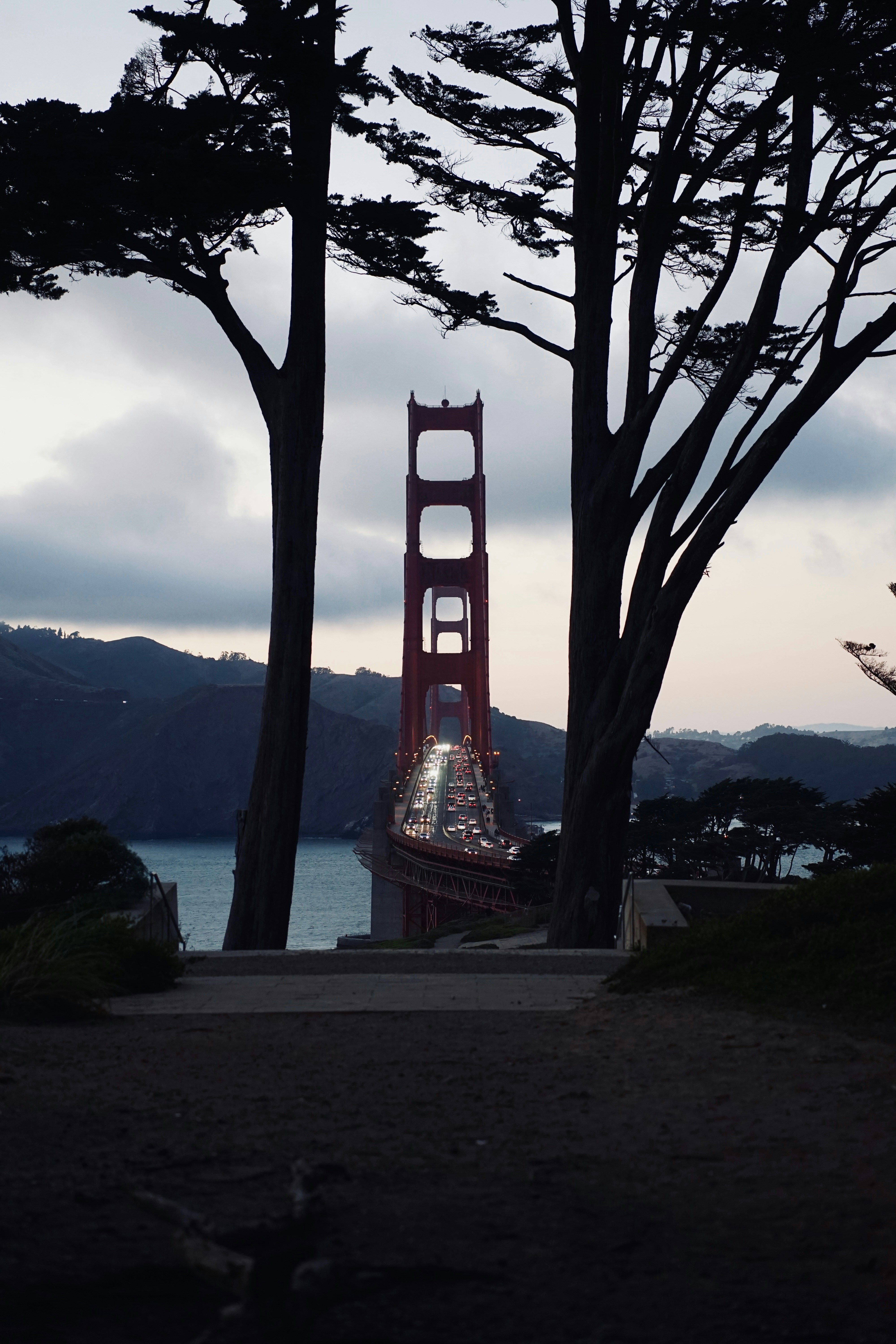 Golden Gate Bridge viewed through silhouetted trees at twilight, showcasing its iconic structure against a dusky sky.