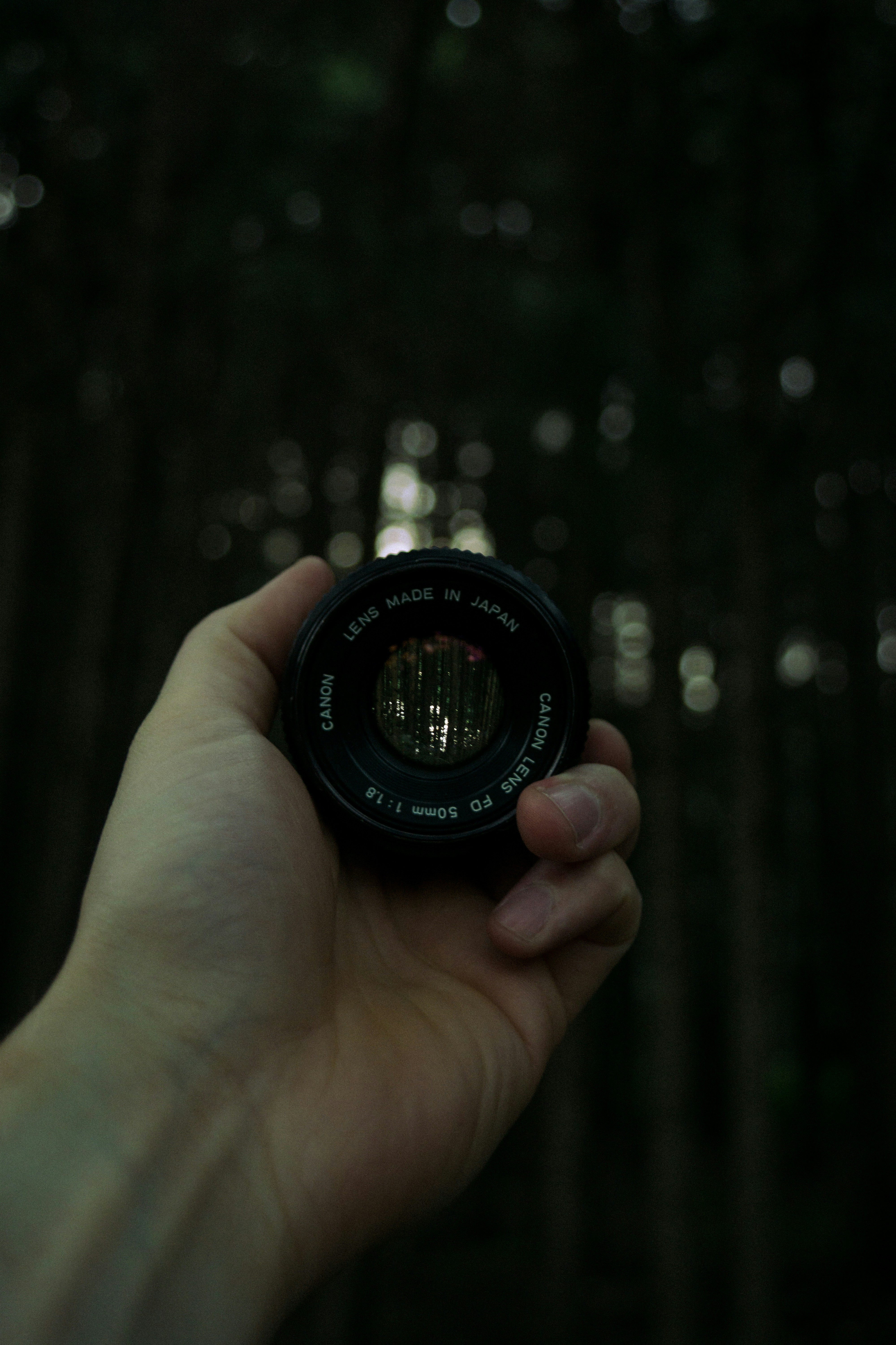 Hand holding a camera lens in dark forest.