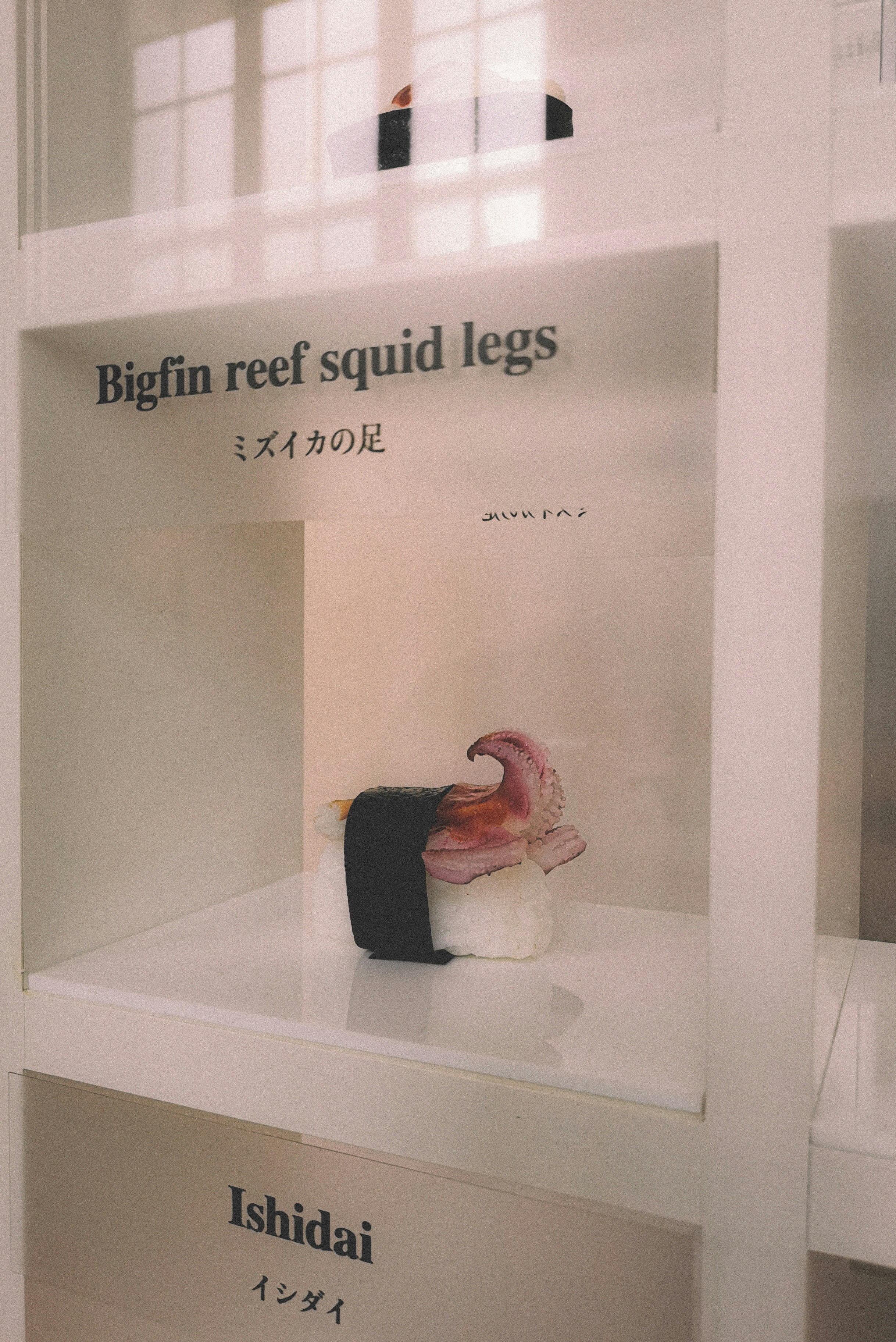 Culinary Curiosities: The Bigfin Reef Squid Experience