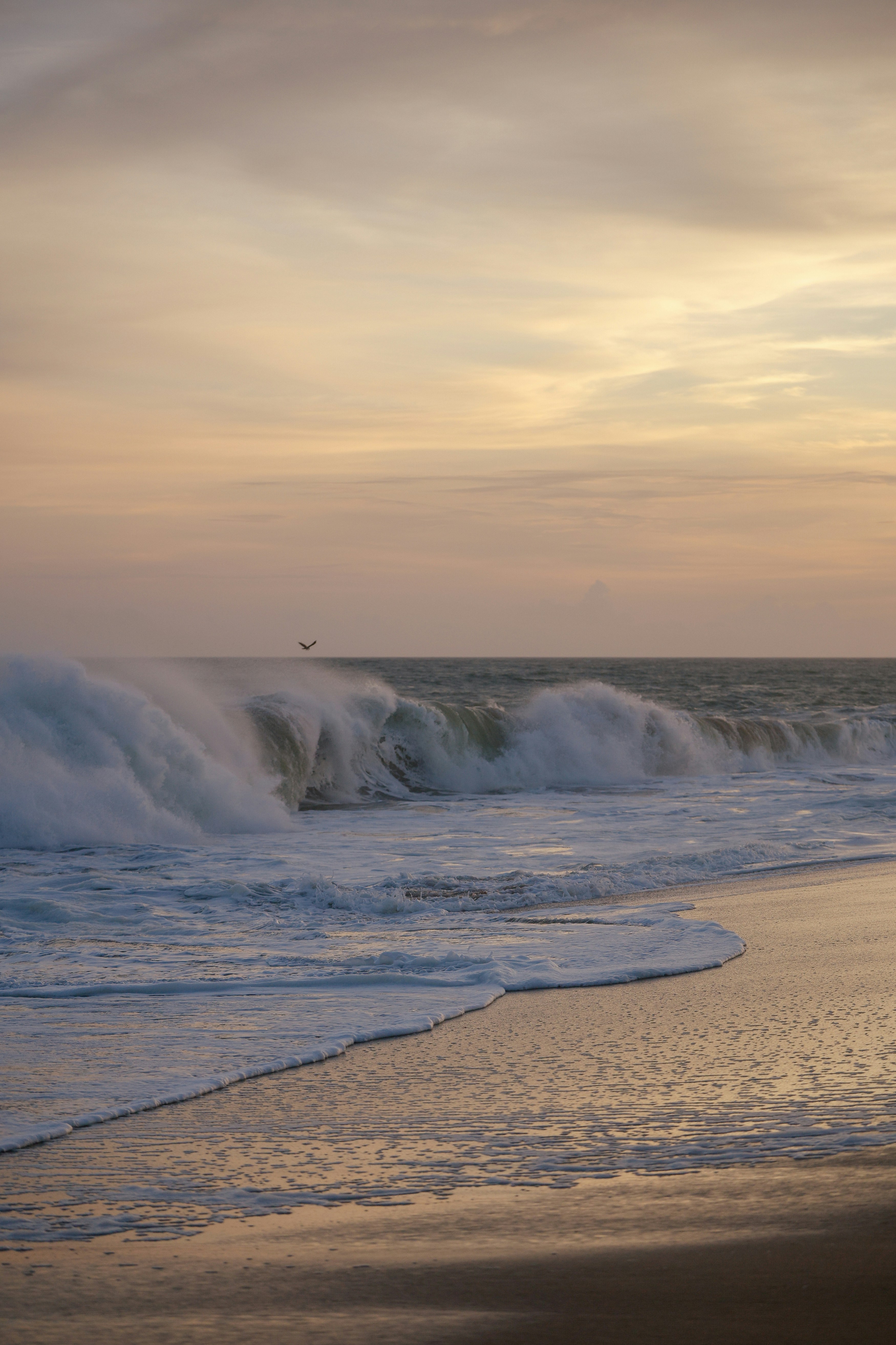 Whispers of the Tide at Dusk
