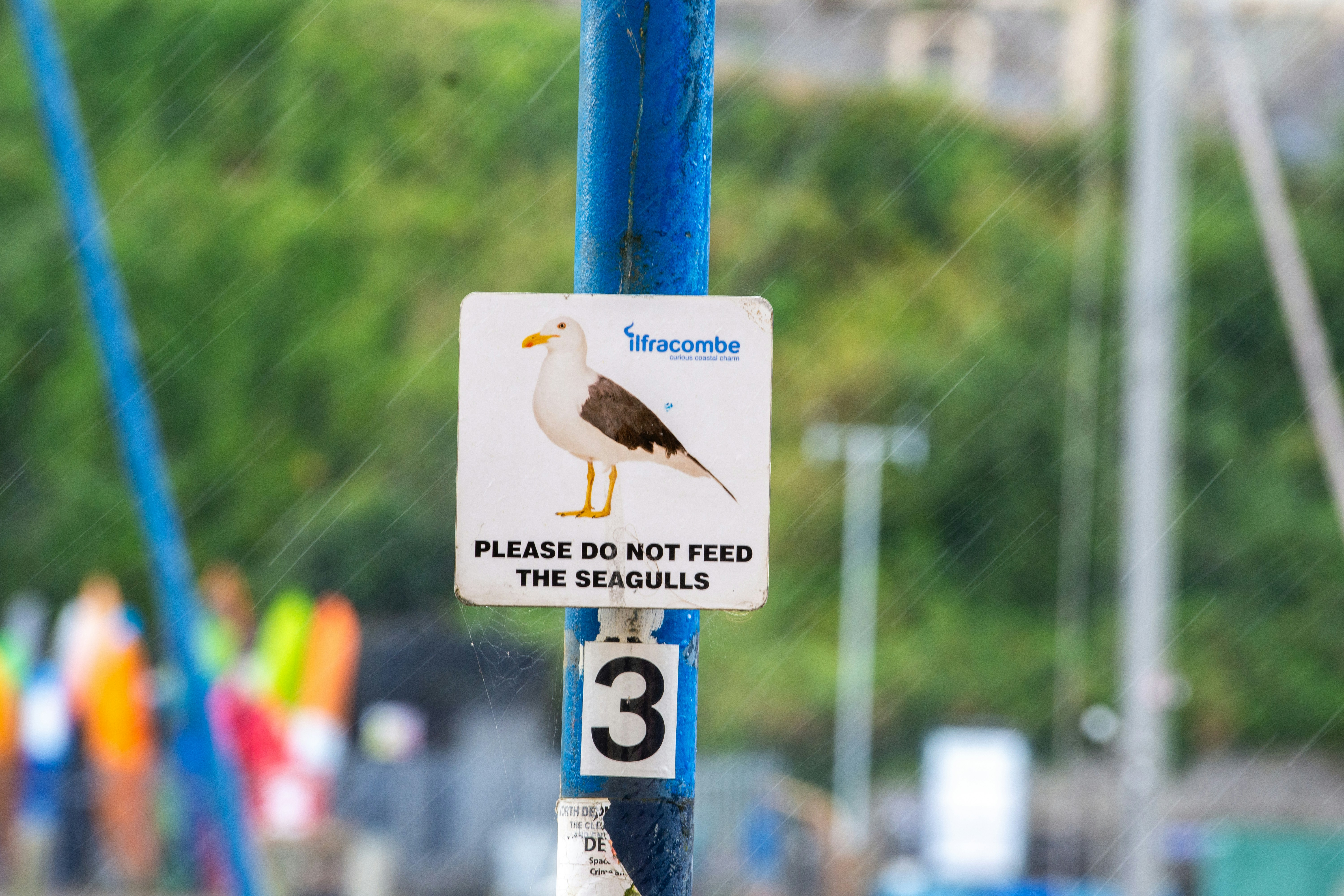 Photo by Richard Bell with Nikon D7200