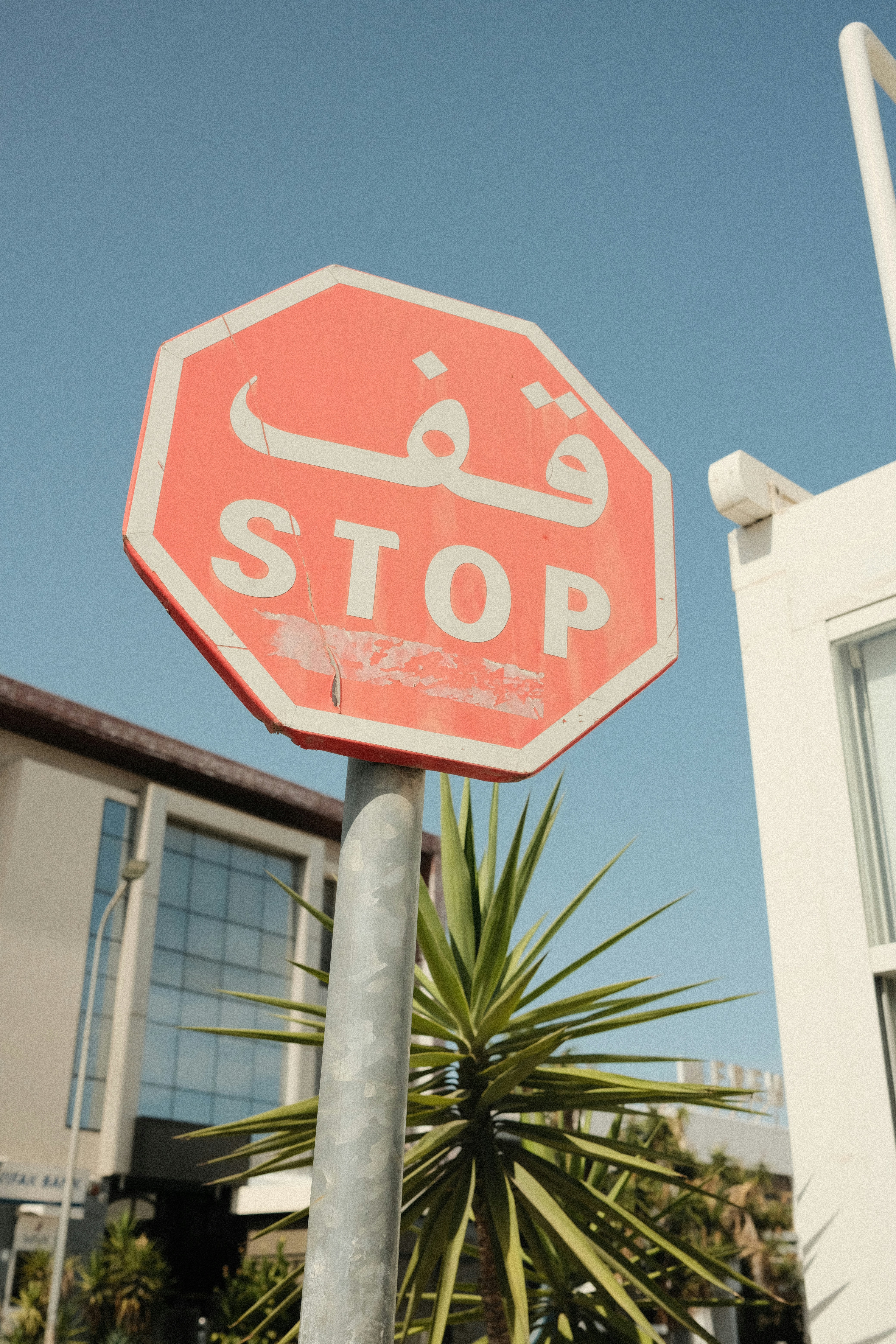 Cultural Caution: A Multilingual Stop Sign