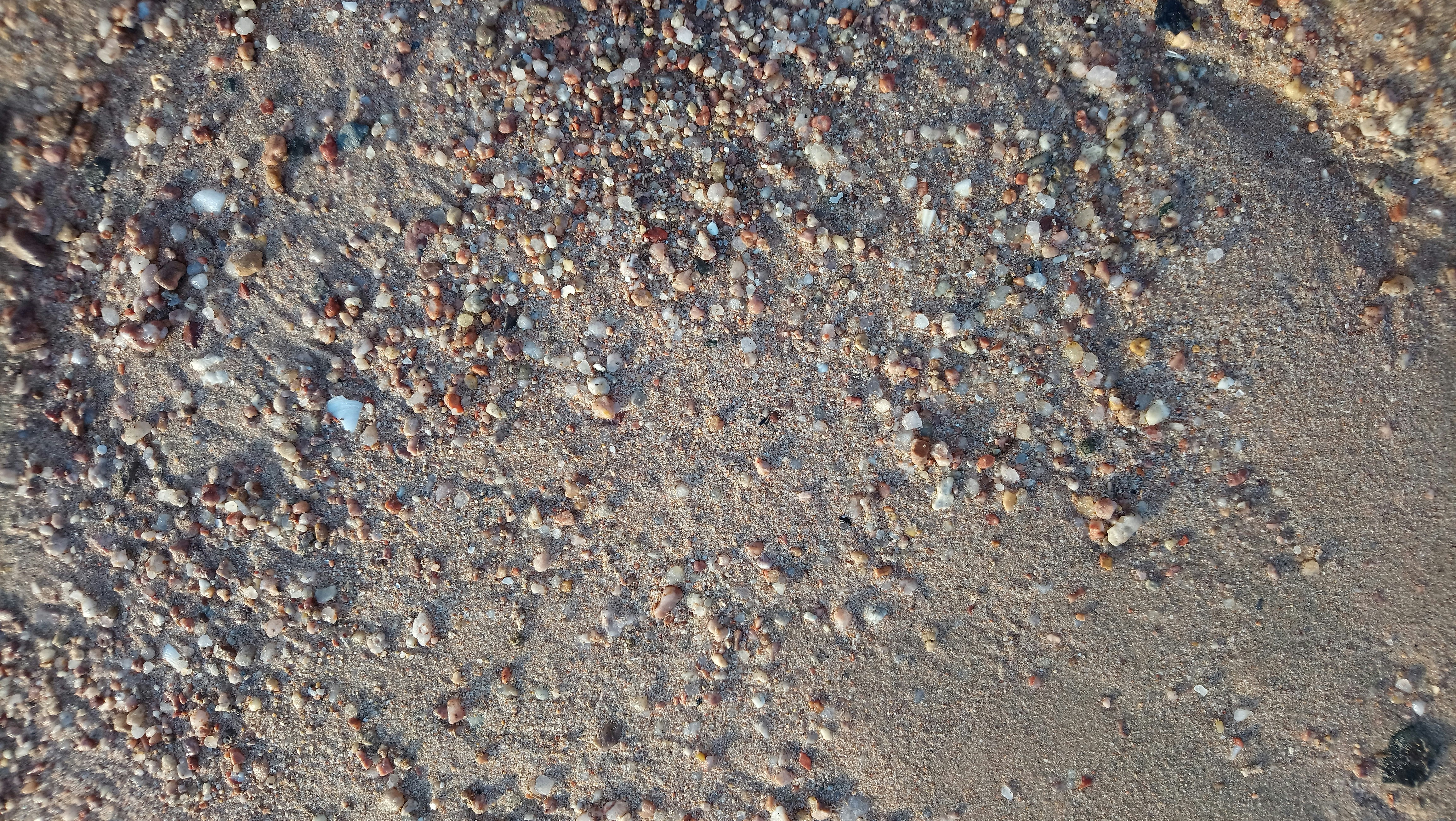 Sample photo from Sony Xperia XA1 Plus