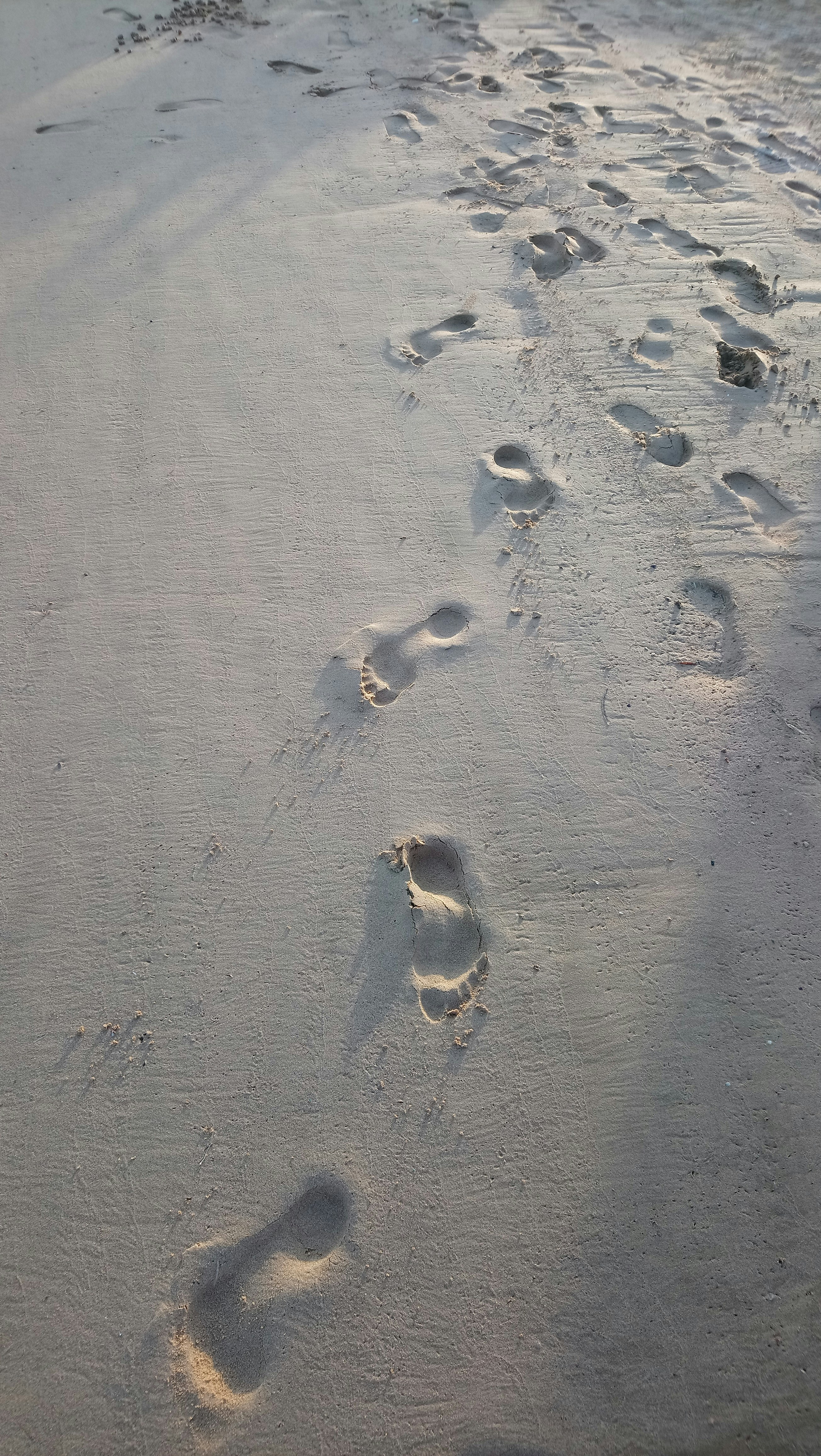 Footprints trailing across a sunlit sandy beach, capturing the essence of a solitary stroll by the ocean. The soft texture of the sand contrasts with the gentle waves nearby.