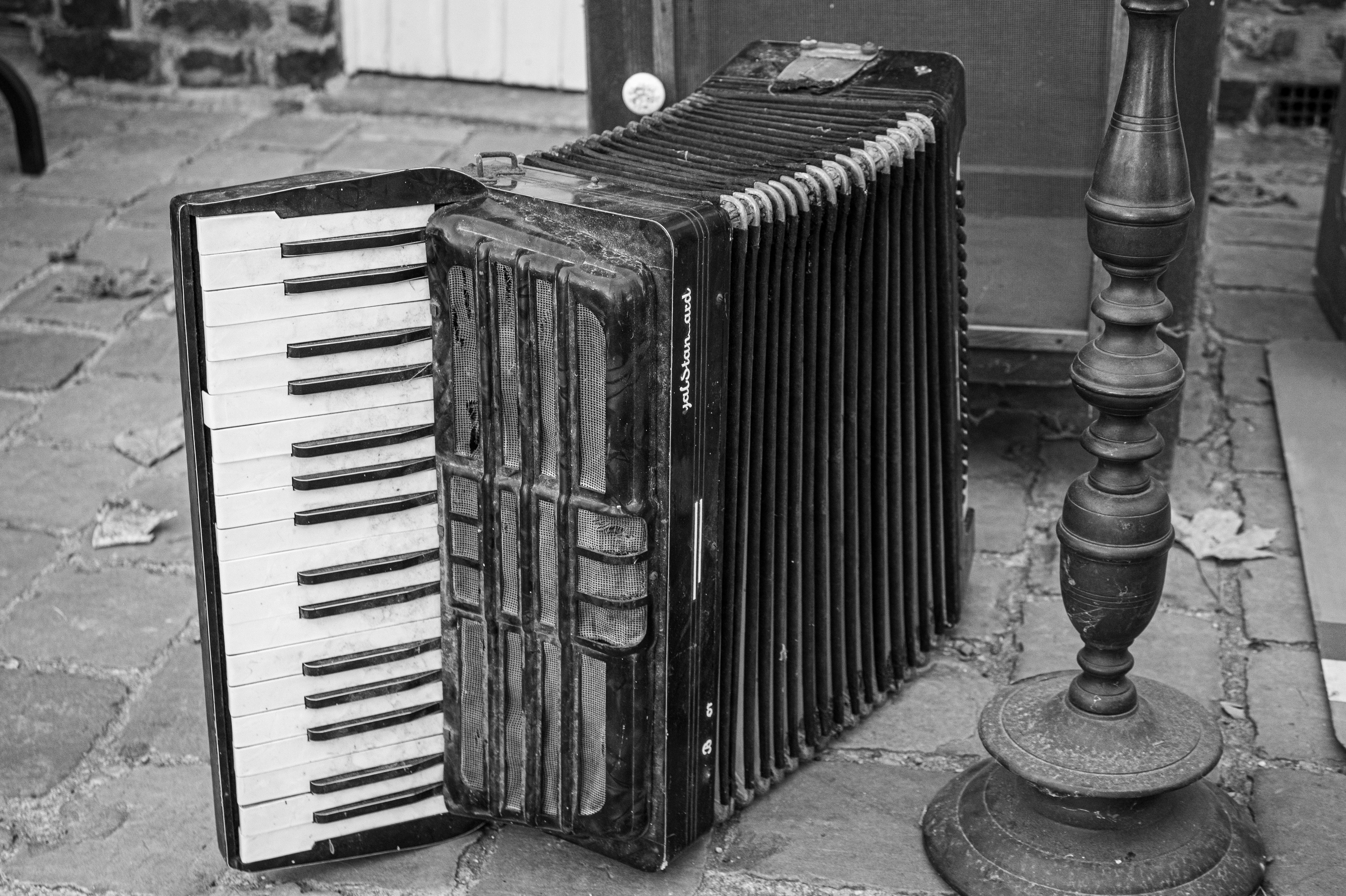 Echoes of Melody: A Forgotten Accordion