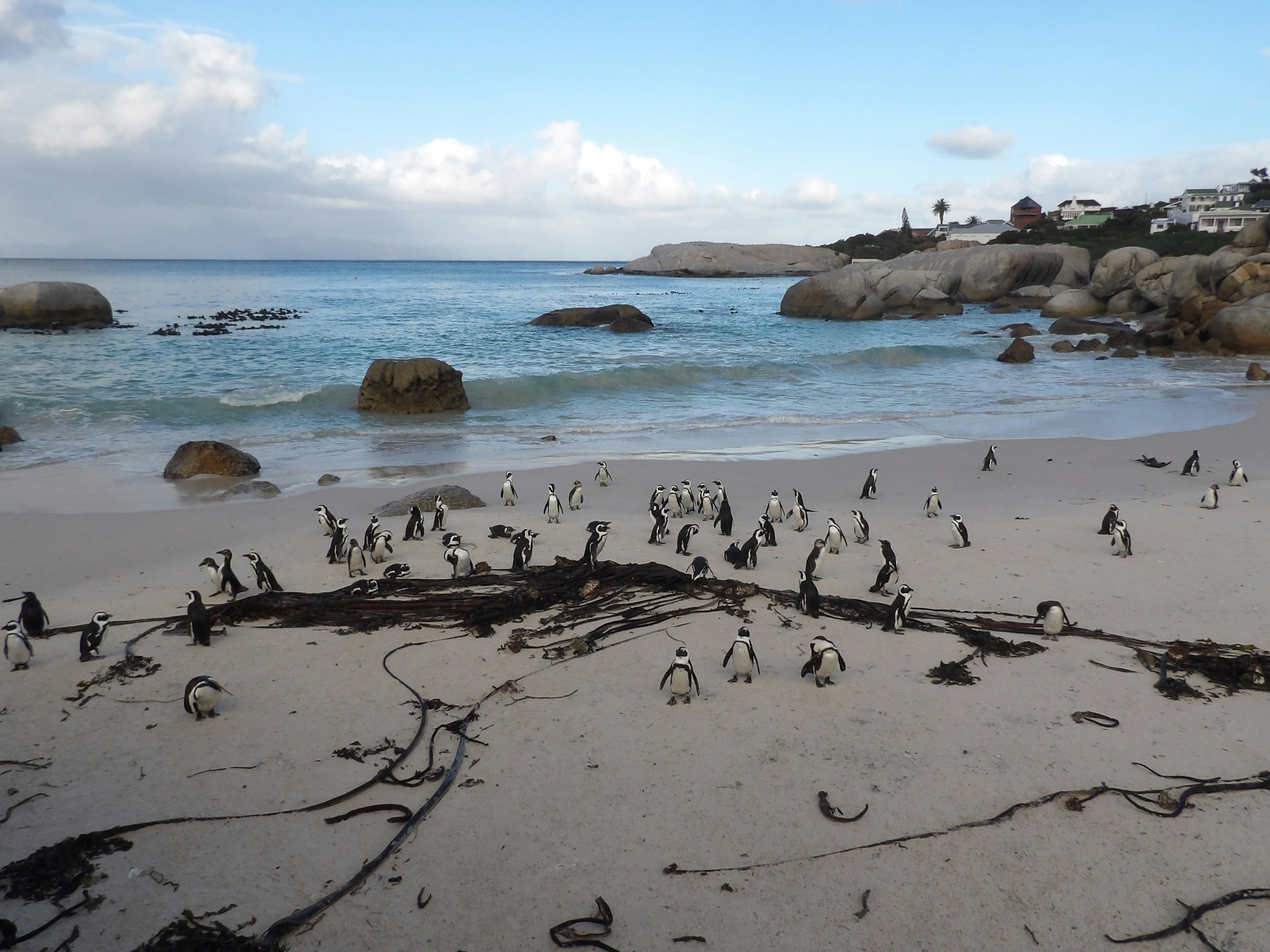 Photo by Giorgio Scavalli with Kodak PIXPRO AZ528