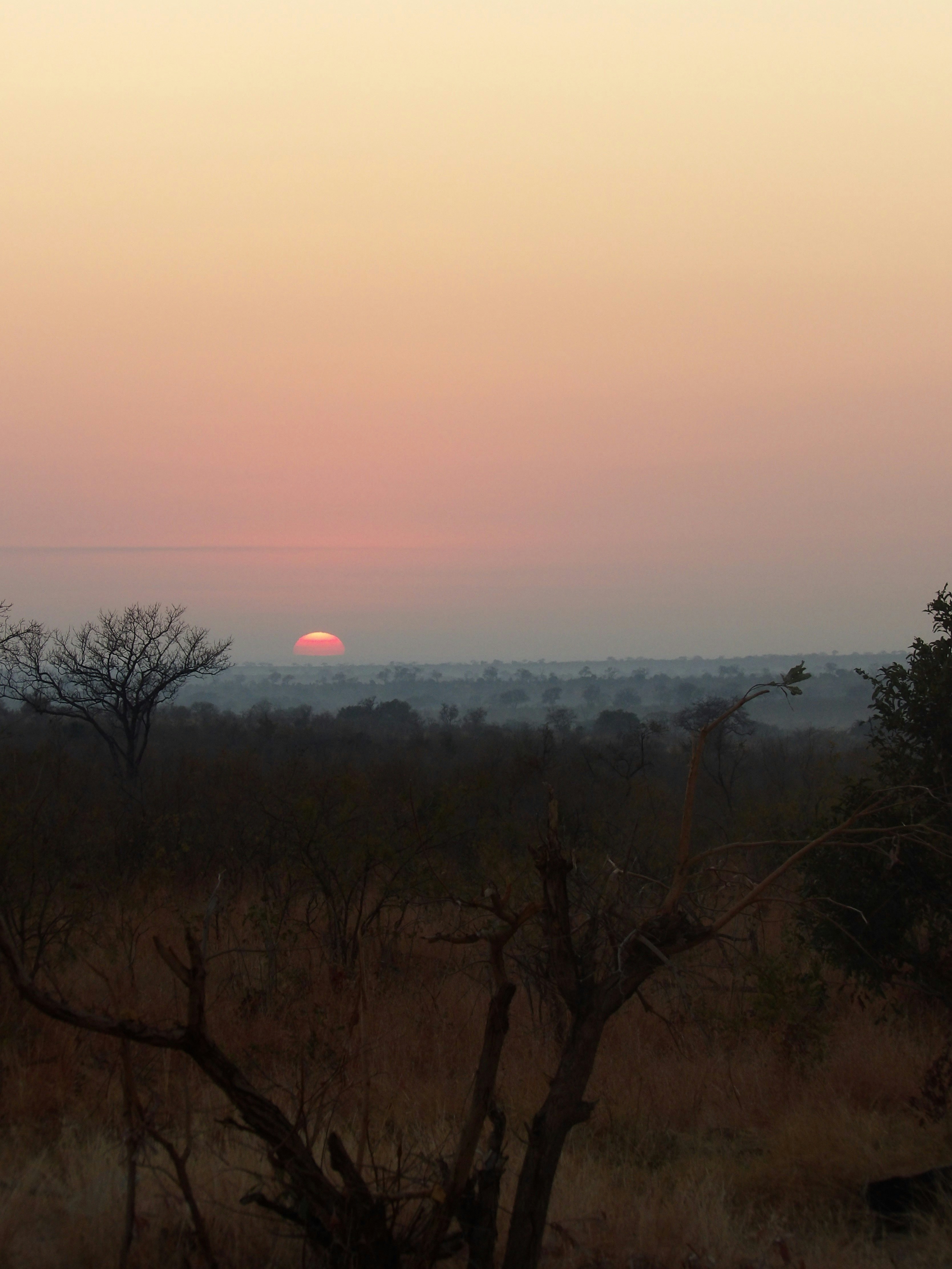 Sunset over a savanna landscape with trees.