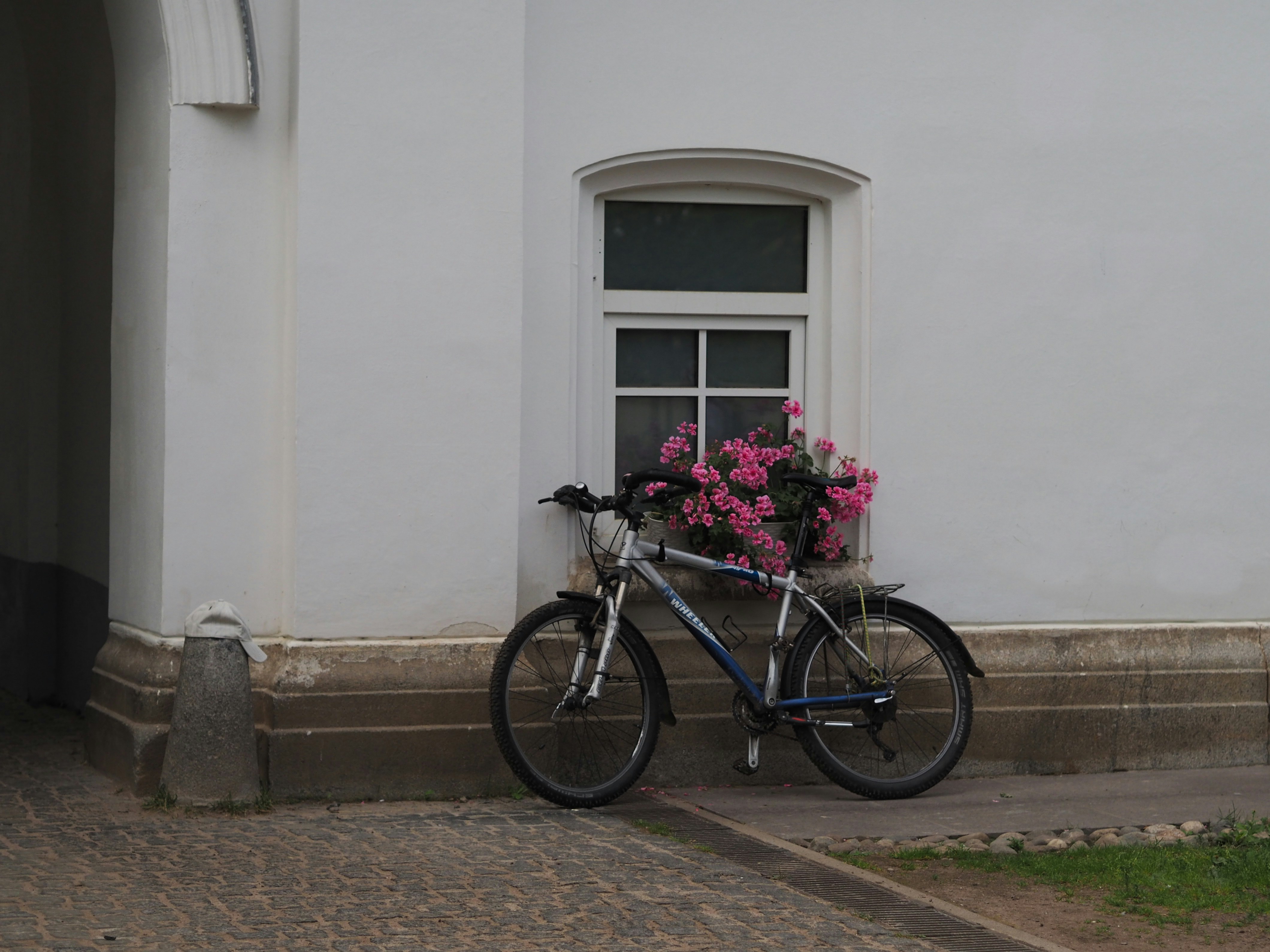 Bicycle with pink flowers parked by white wall