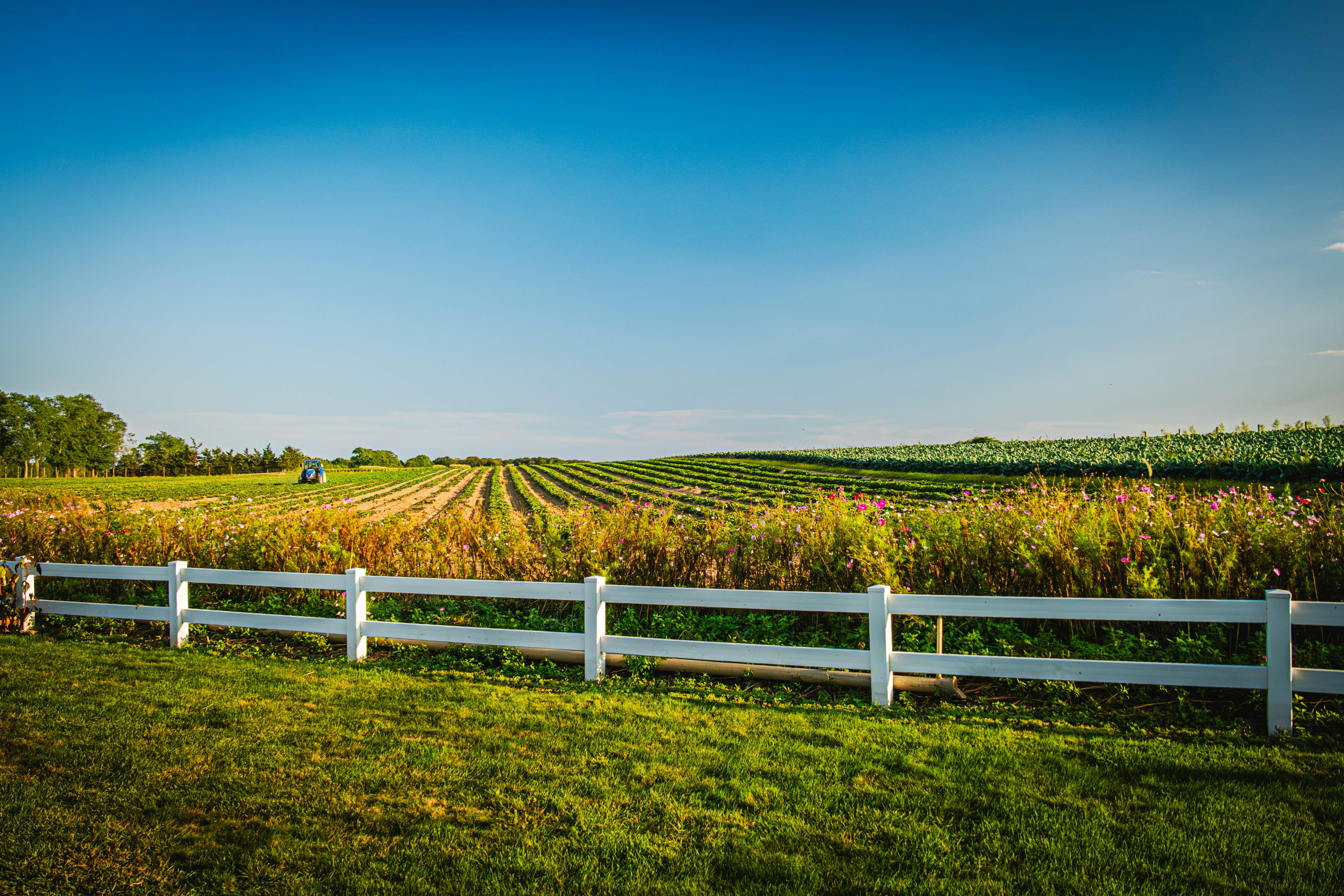 Fields of Harmony: A Rural Symphony