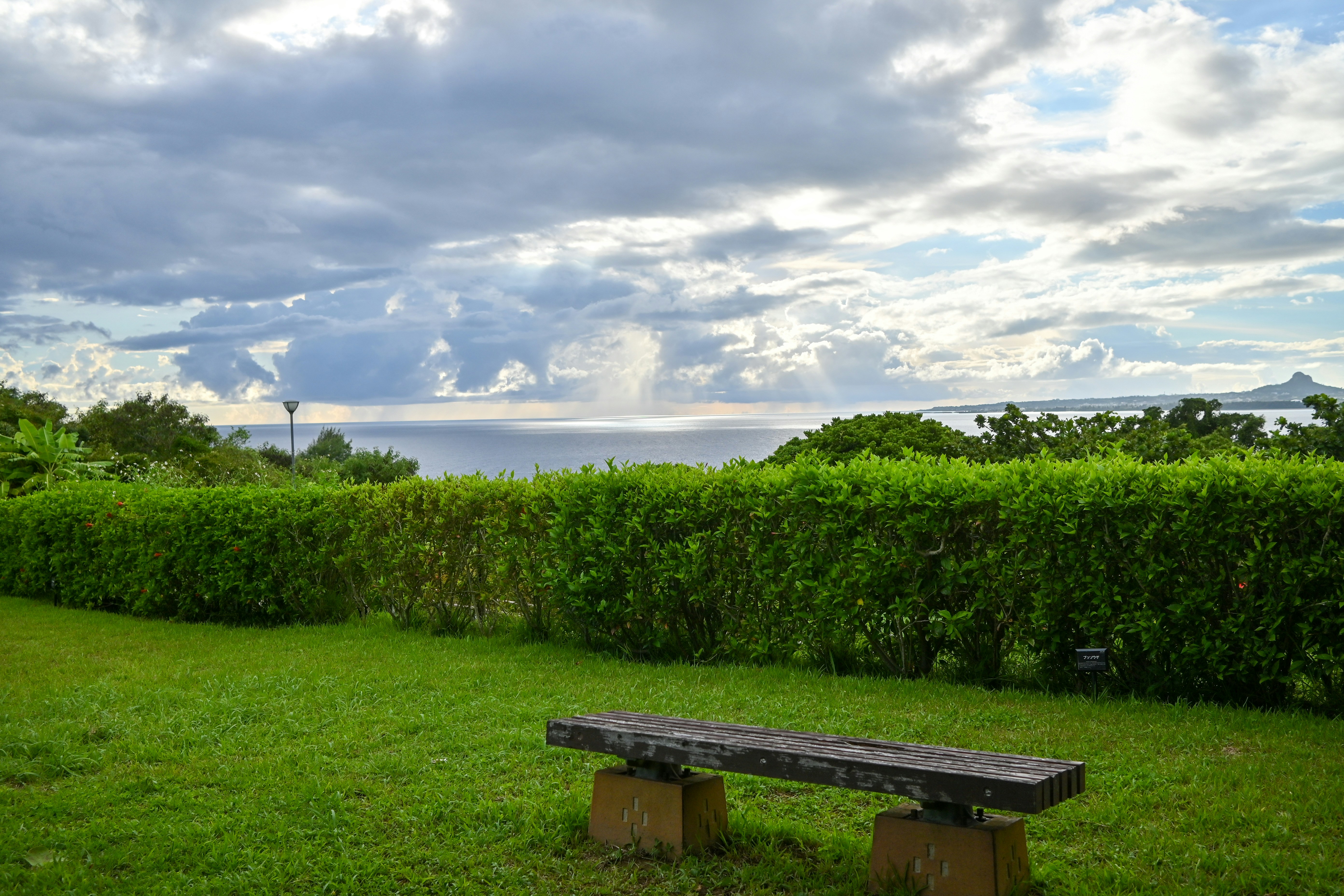 Wooden bench positioned in a lush garden overlooking a tranquil ocean under a cloudy sky. Perfect spot for reflection.