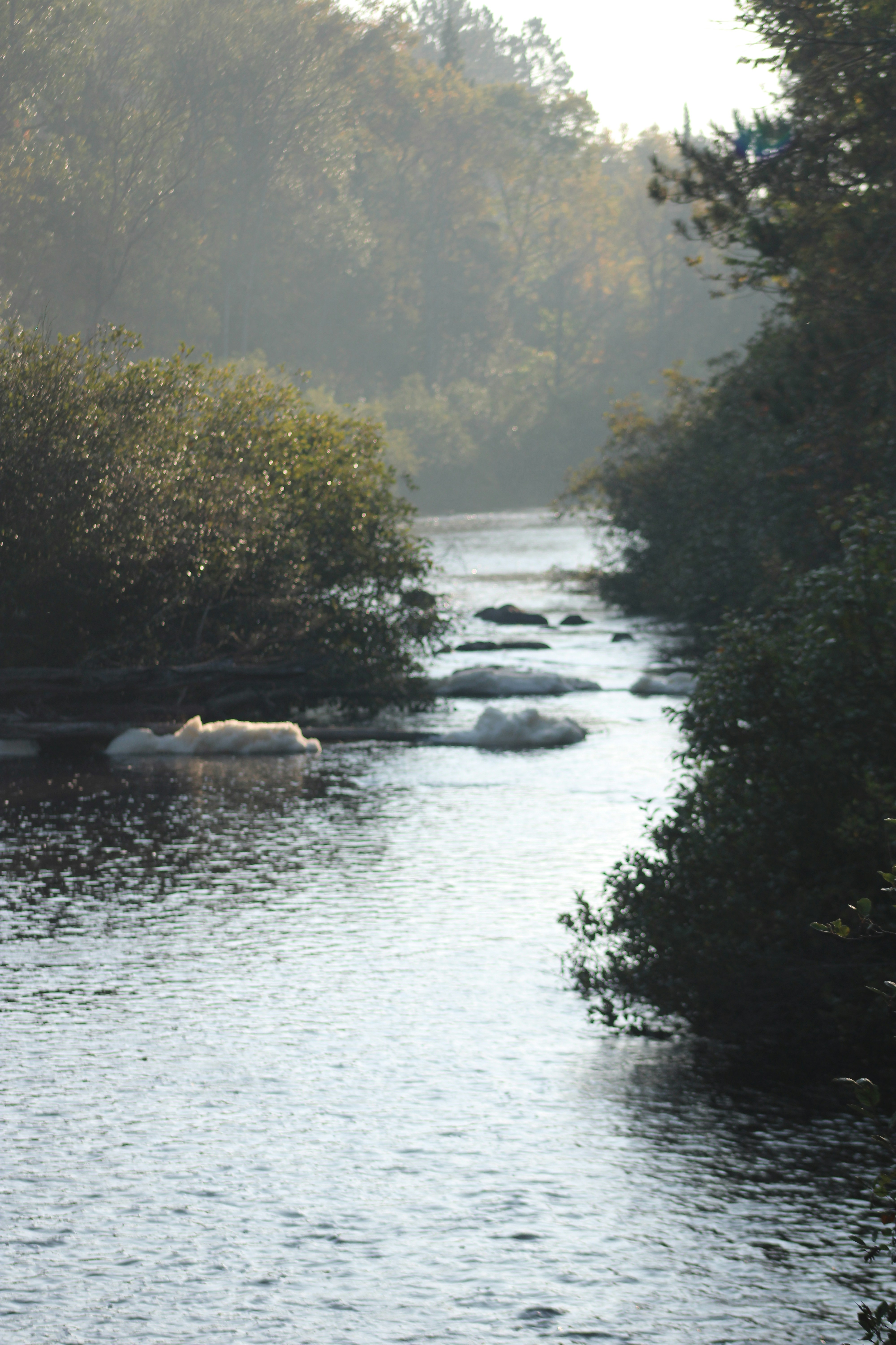 Whispers of Tranquility: A Serene Waterway