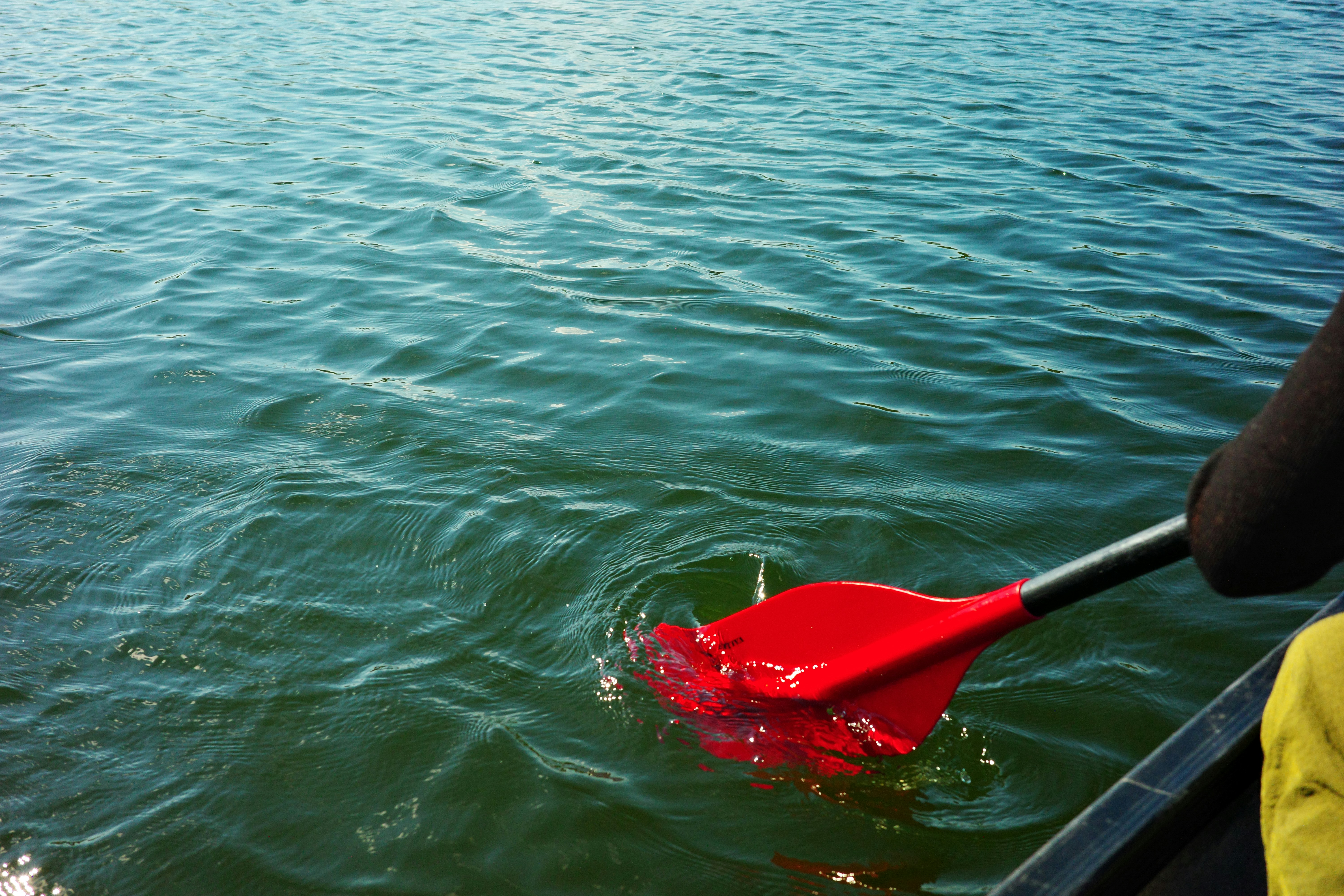 Ripples of Adventure: A Kayaker's Journey