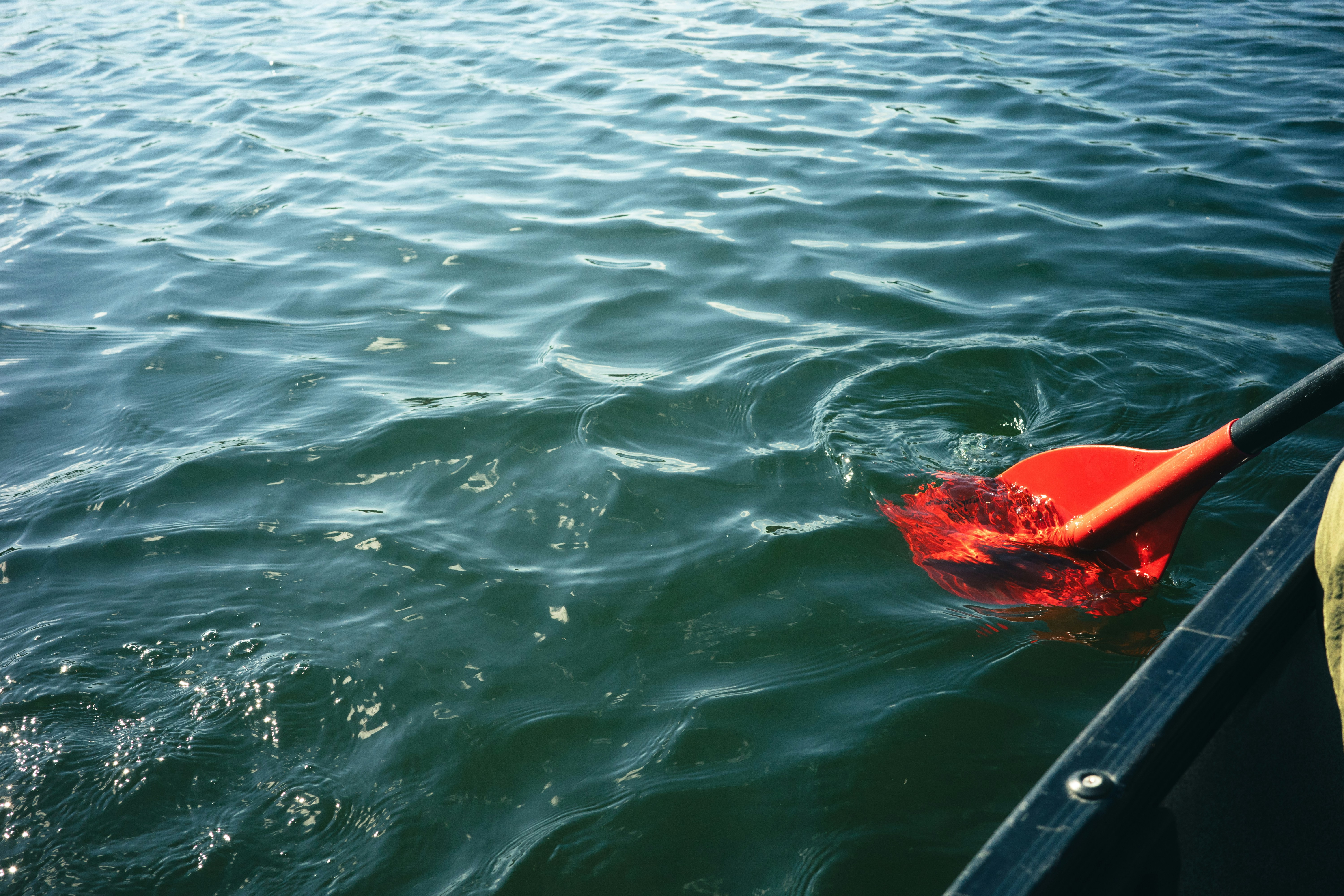 Ripples of Adventure: The Dance of Paddle and Water