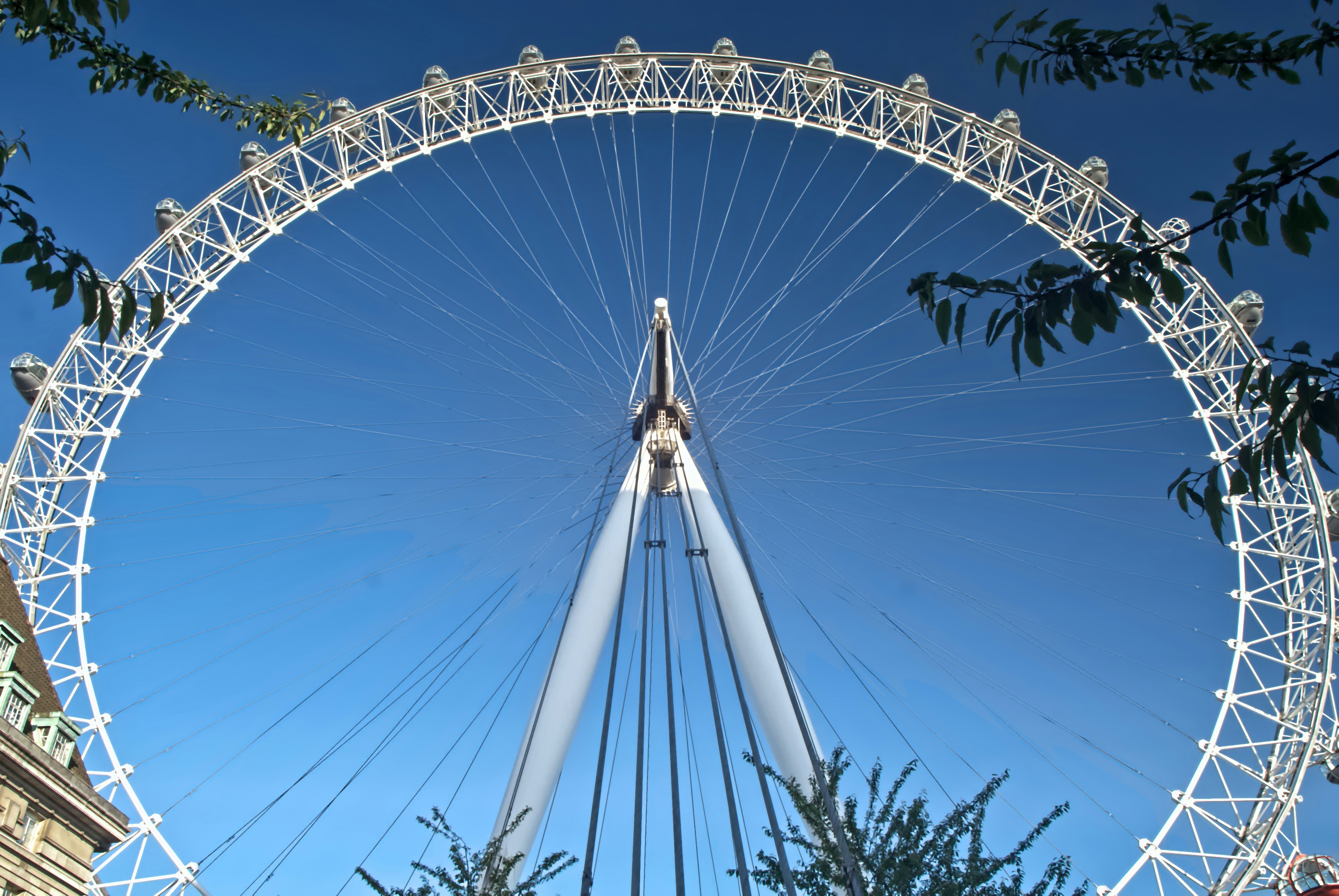 London Eye towering against a clear blue sky, framed by lush greenery below.
