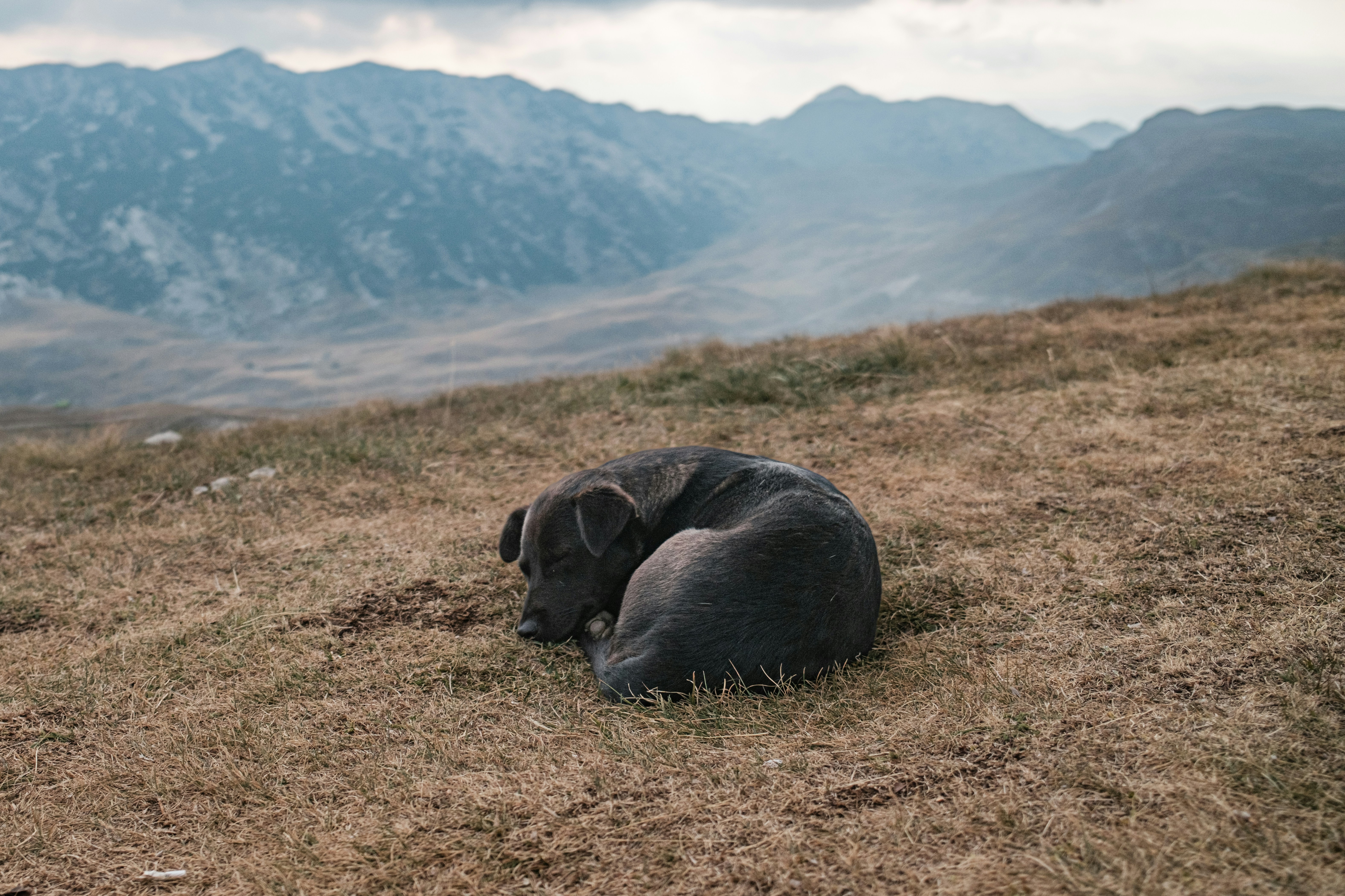 Serenity Amongst the Peaks