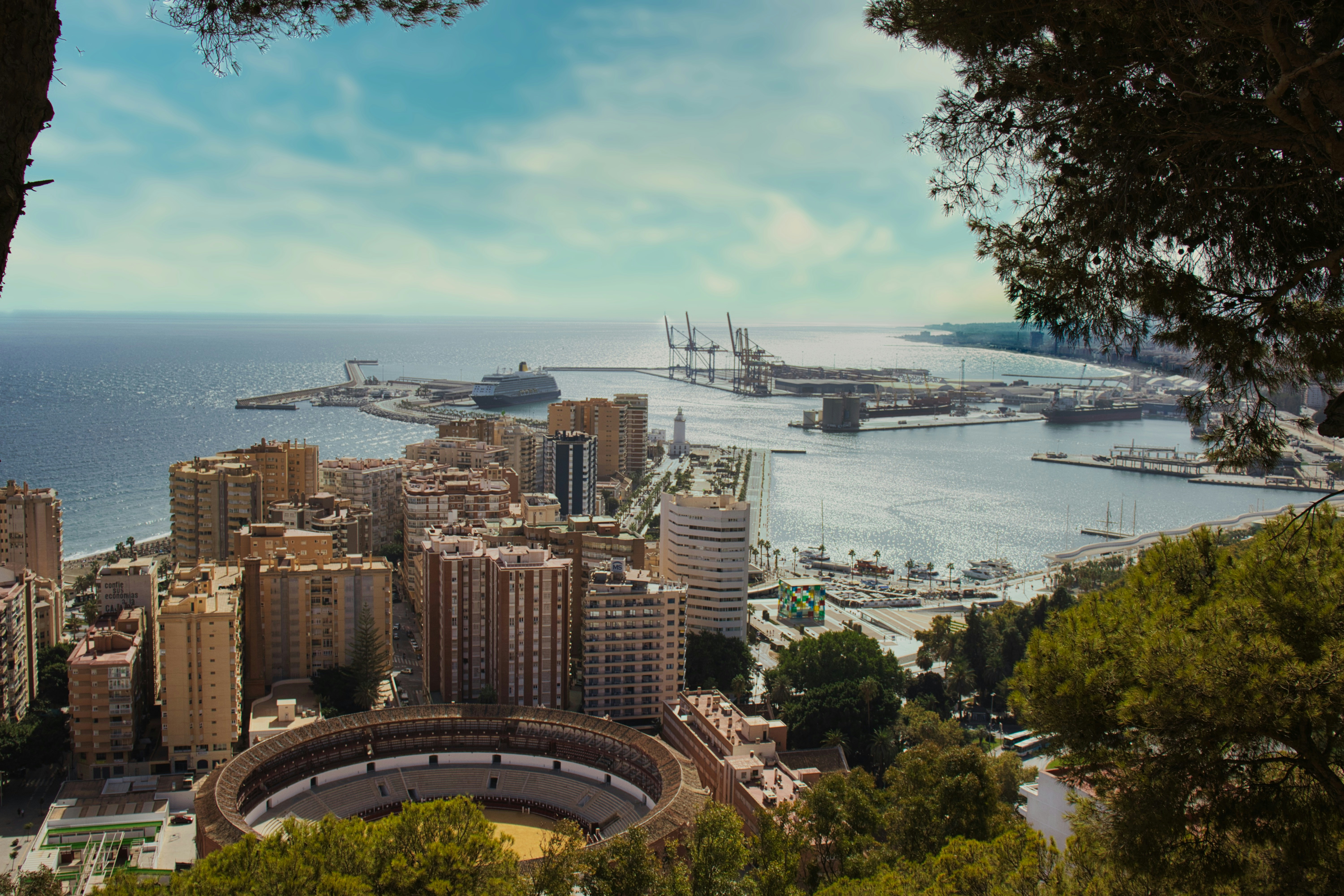A Coastal Symphony: Urban Life Meets the Sea