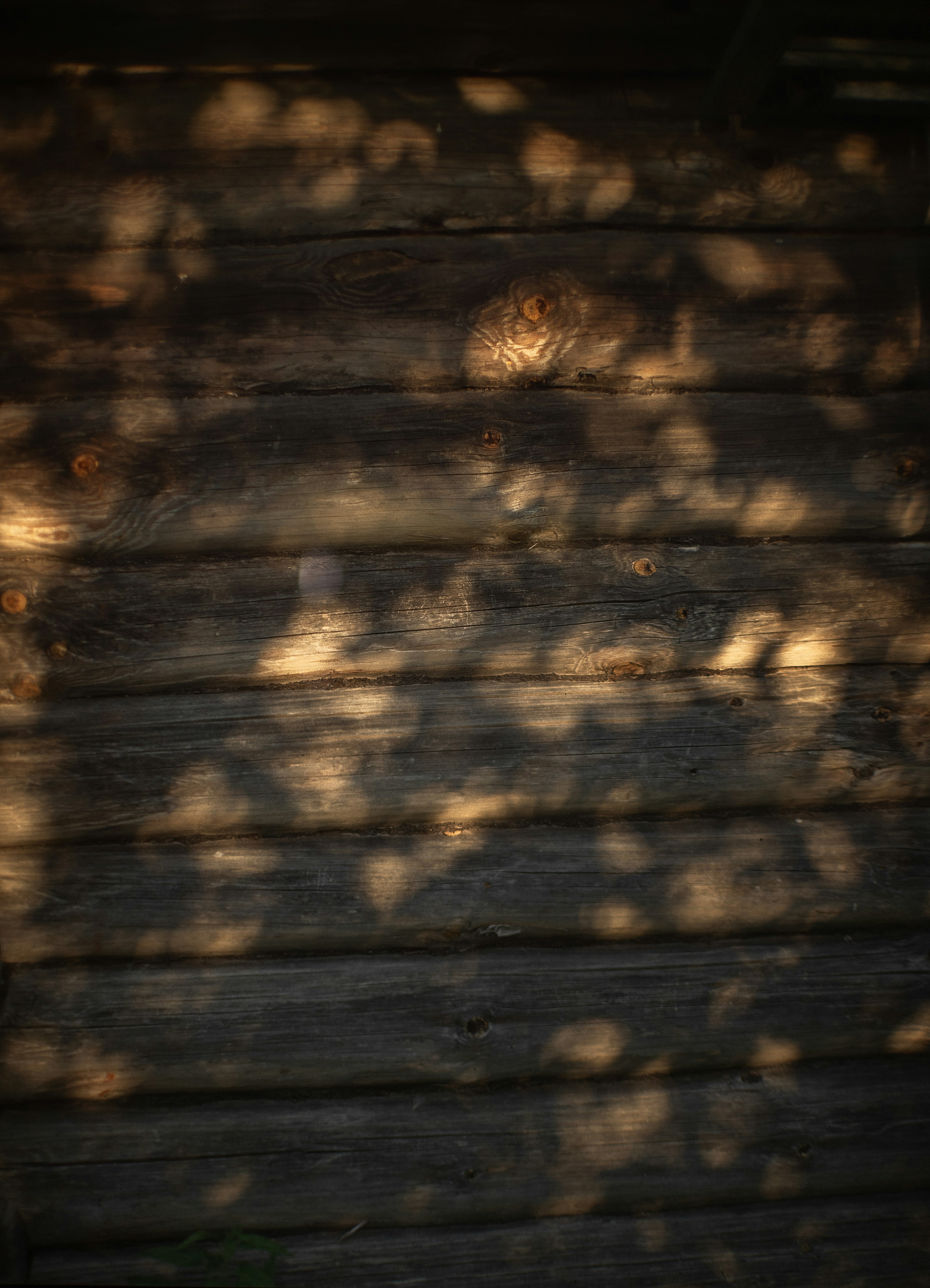 Hybrid large format 30x30cm ОР-451 Lens | Sunlight filtering through leaves onto wooden planks.