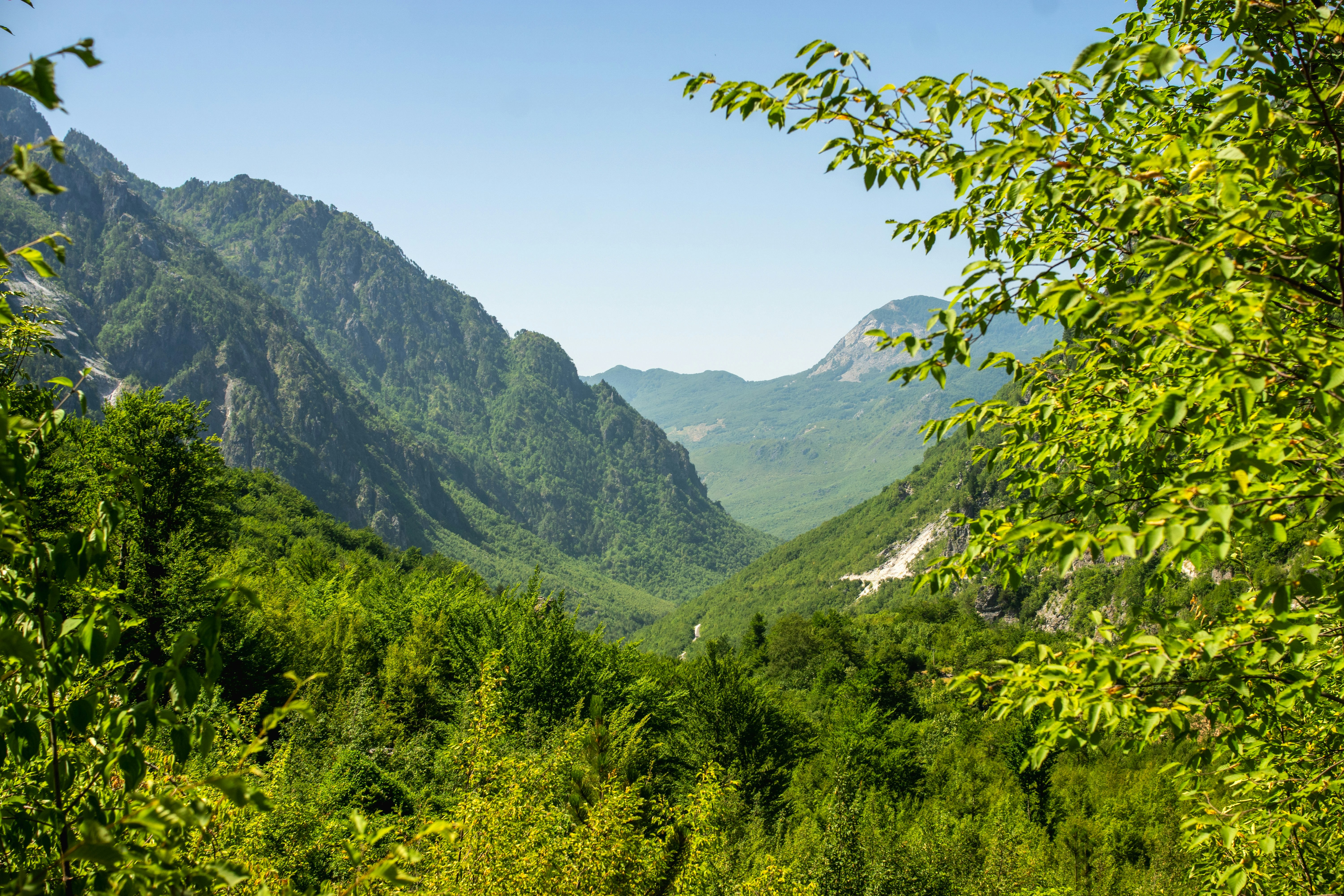 Lush green mountains frame a deep valley under a clear blue sky, showcasing the beauty of untouched wilderness.