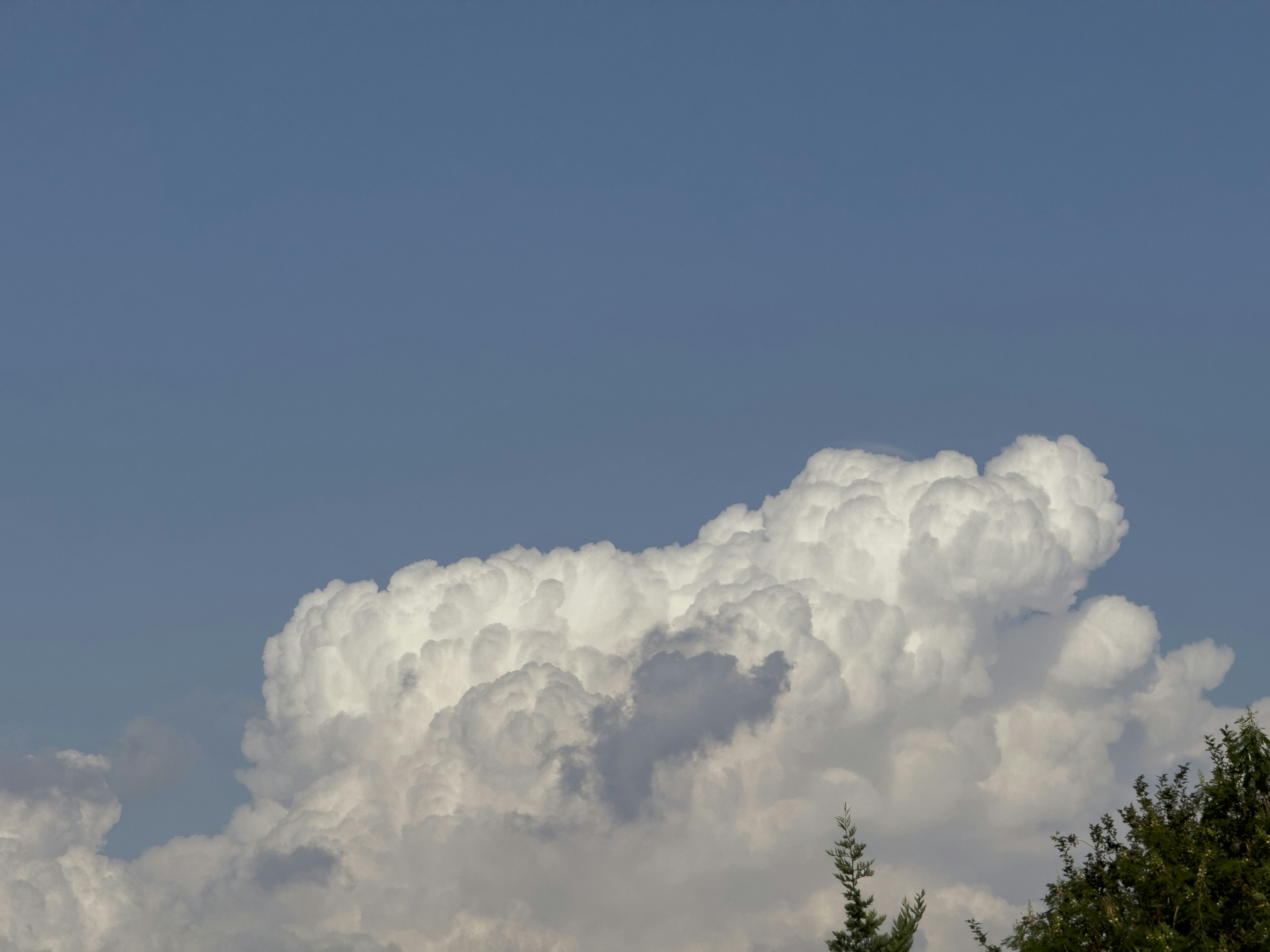 Colossal Cumulus over a Pristine Blue Sky