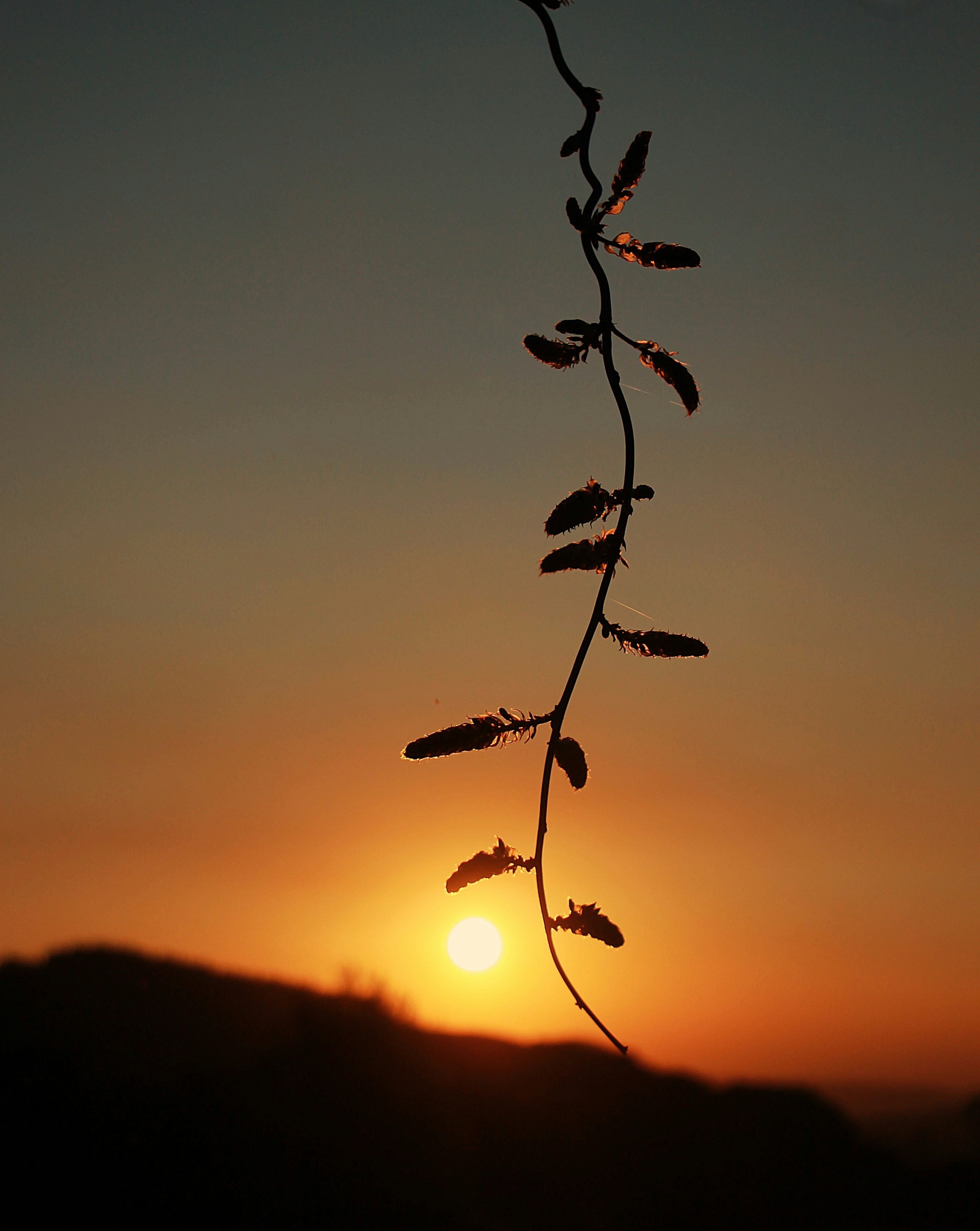 dusk