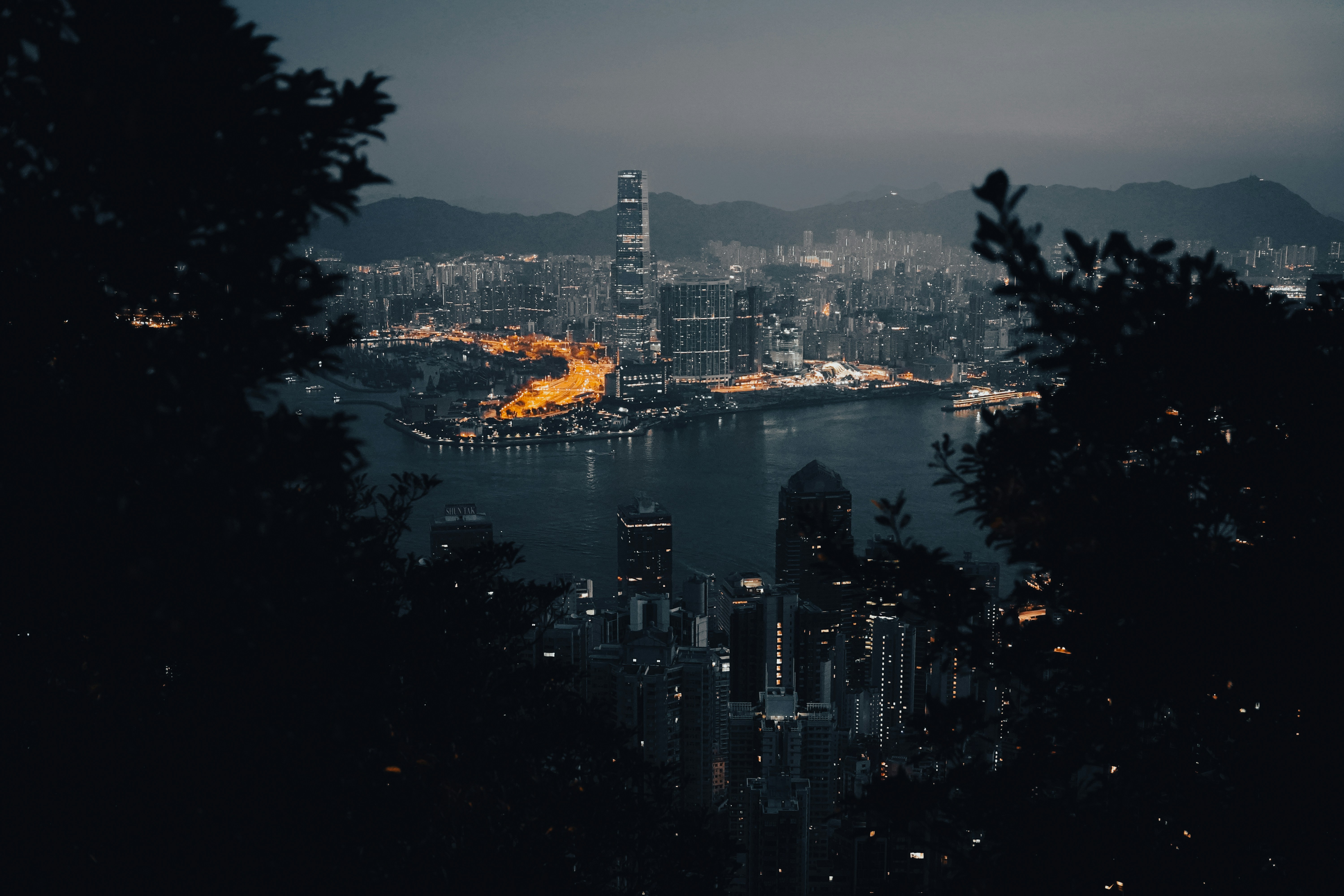 Urban Glow: A Night's Embrace Over Hong Kong