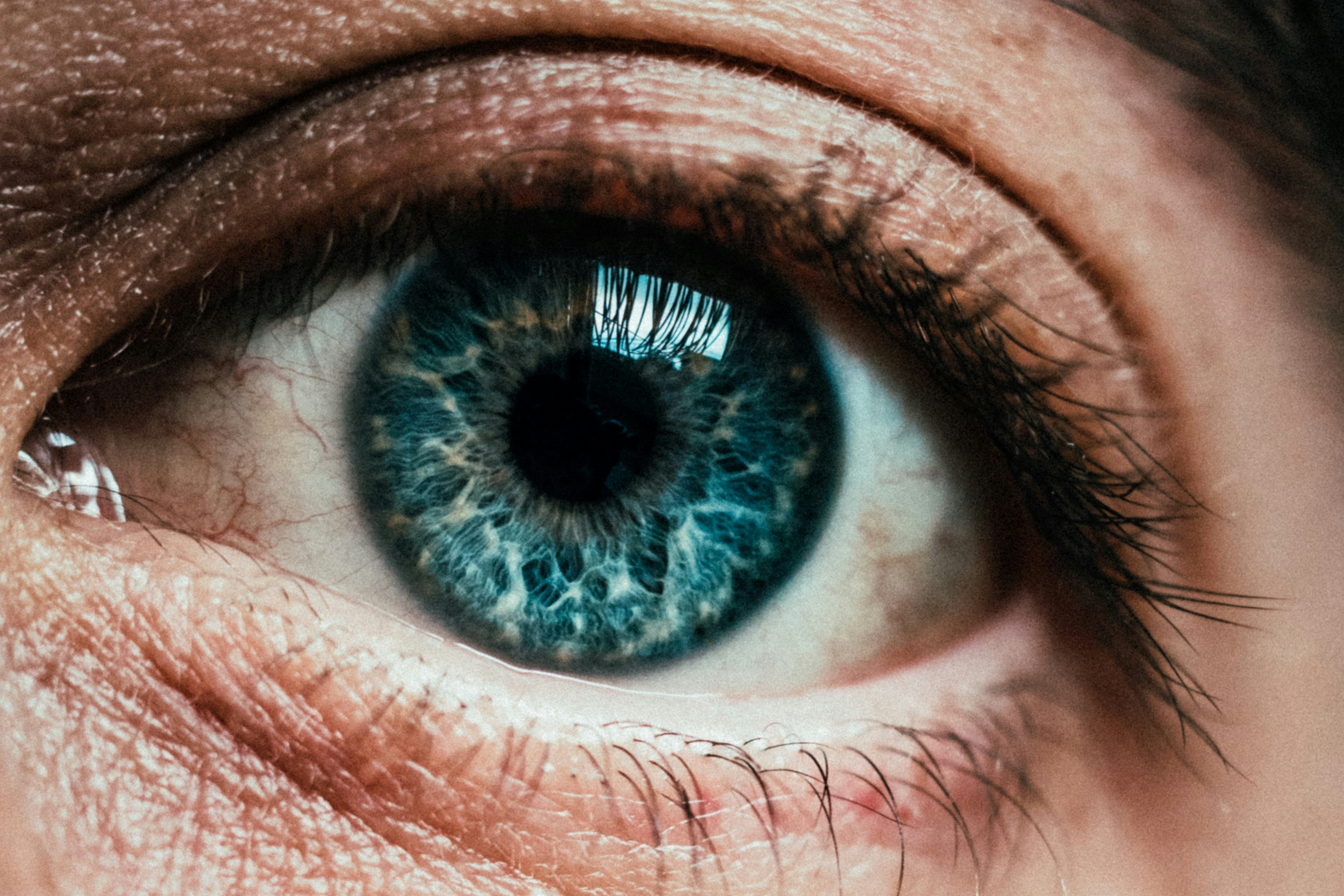 Close-up of a blue human eye with detailed iris. photo – Free Portrait ...