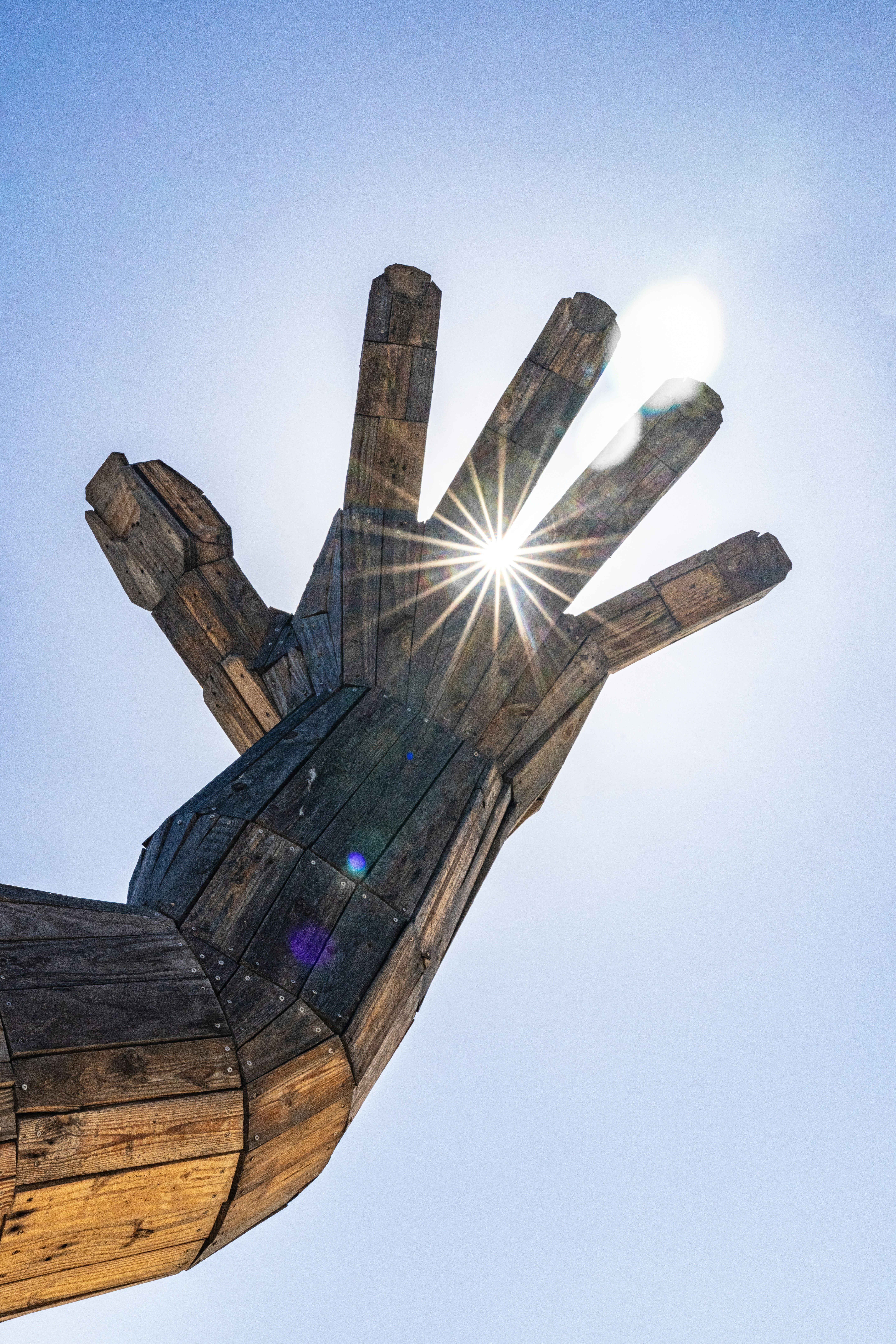 Wooden Embrace of Light