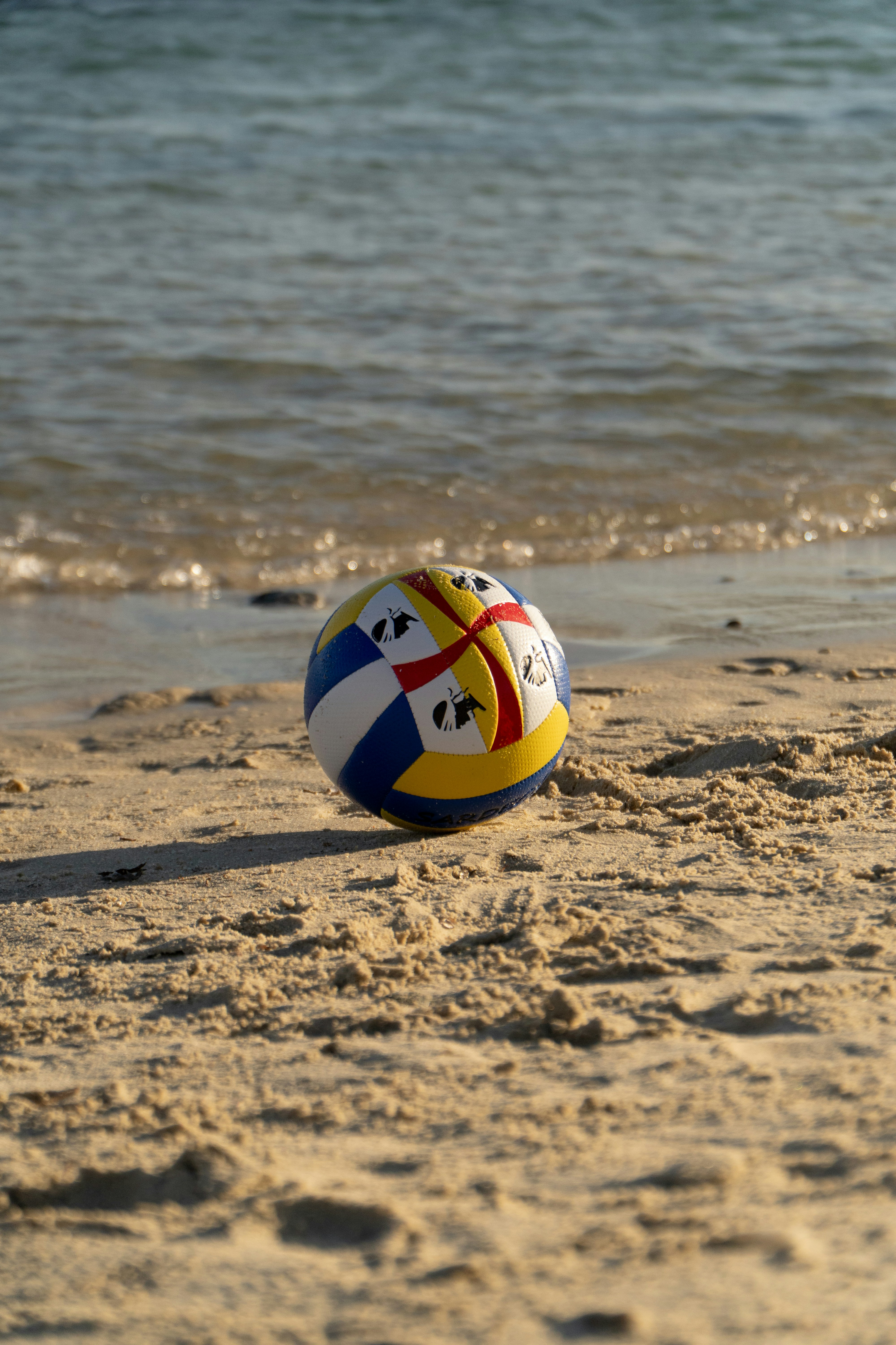 A Playful Moment on the Shoreline