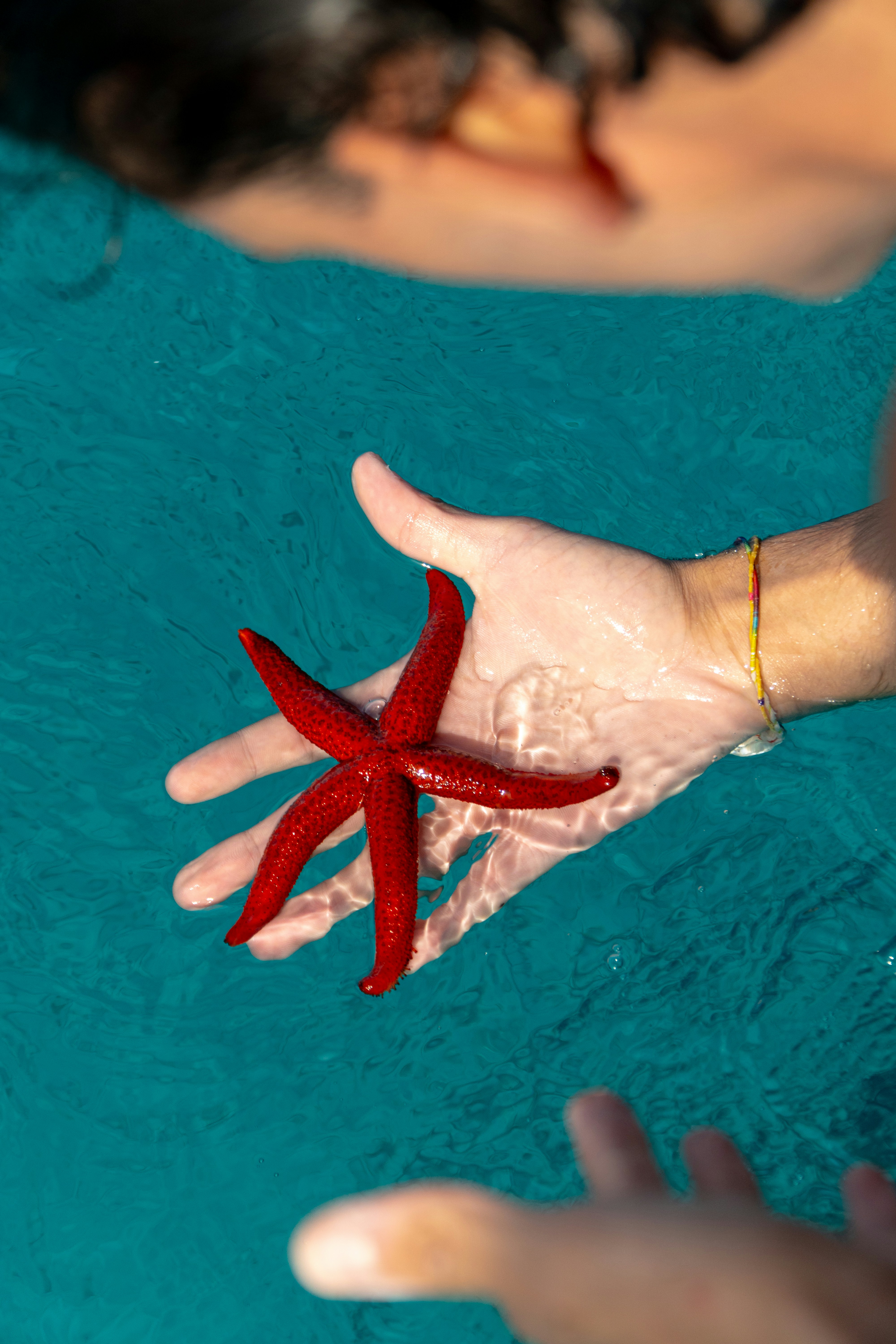 A Glimpse into Marine Wonders