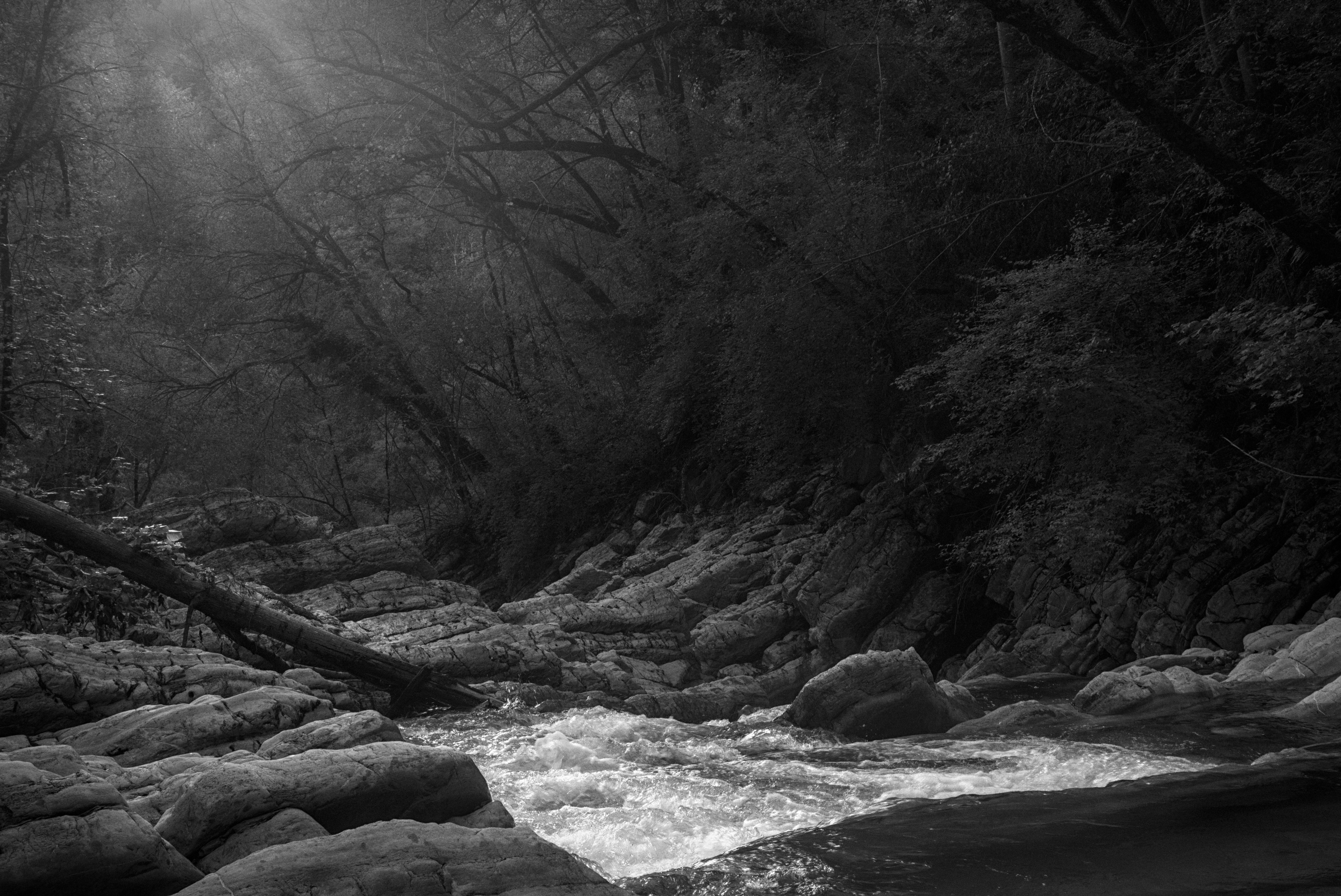 Whispers of the Riverbed