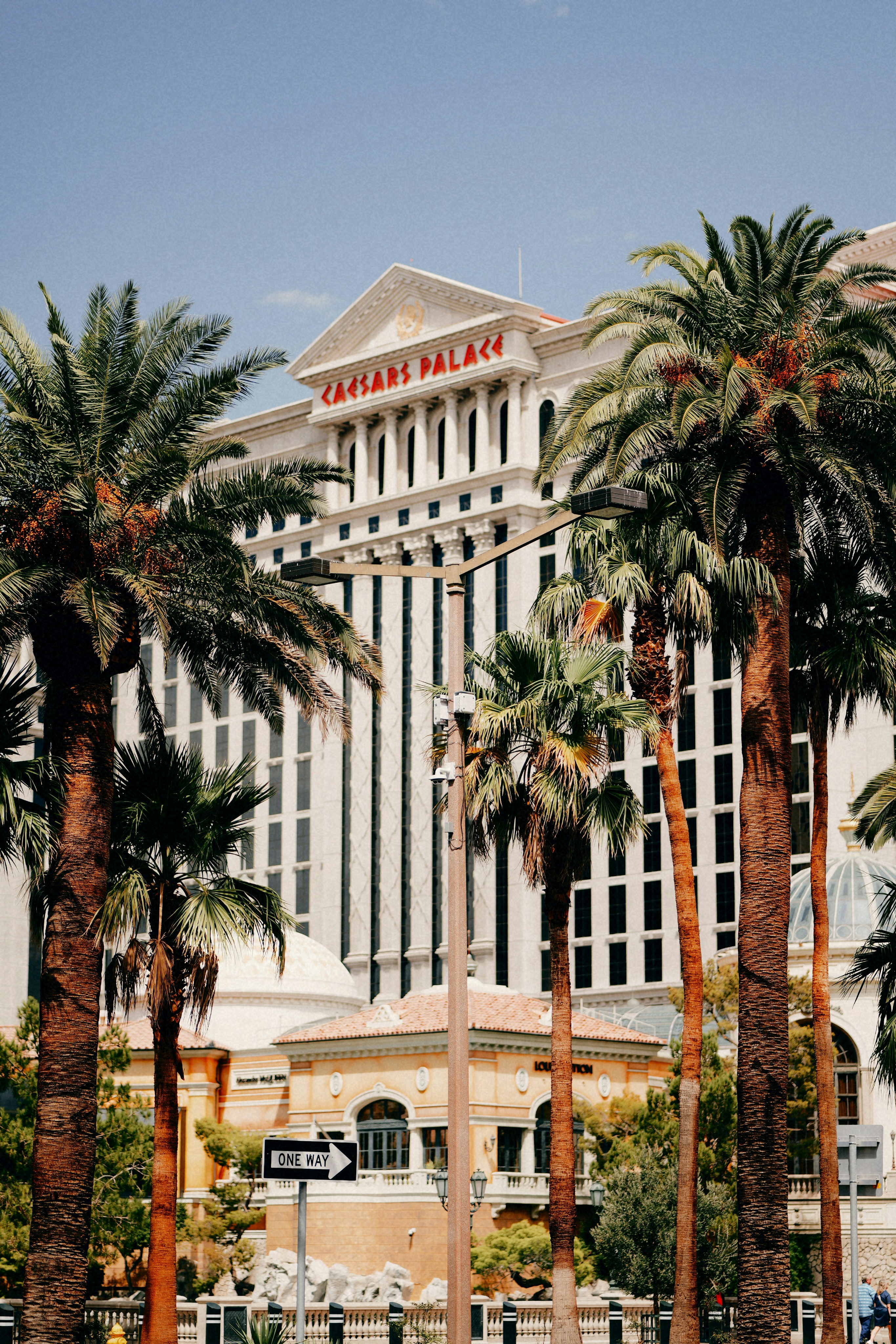 A Glimpse of Opulence: The Caesar's Palace Experience