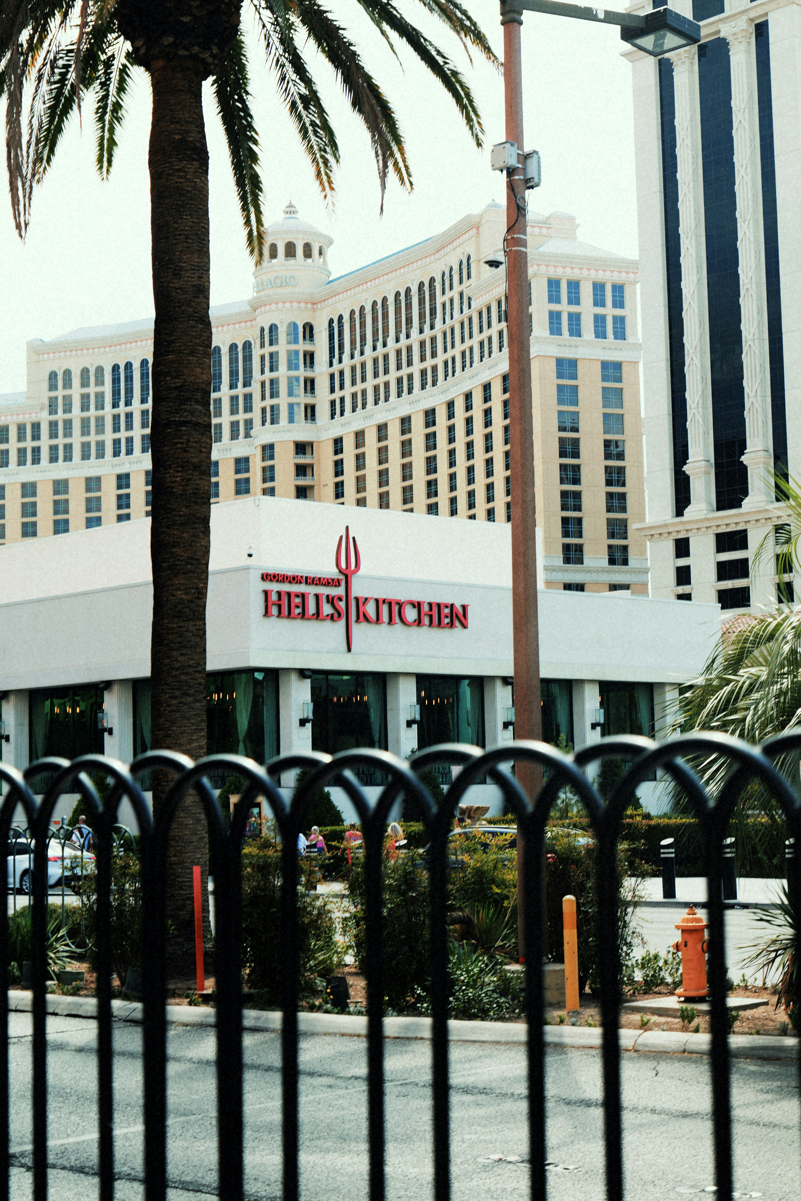 Hell's Kitchen restaurant exterior with palm trees framing the scene, set against a backdrop of towering buildings. The iconic red logo stands out prominently.
