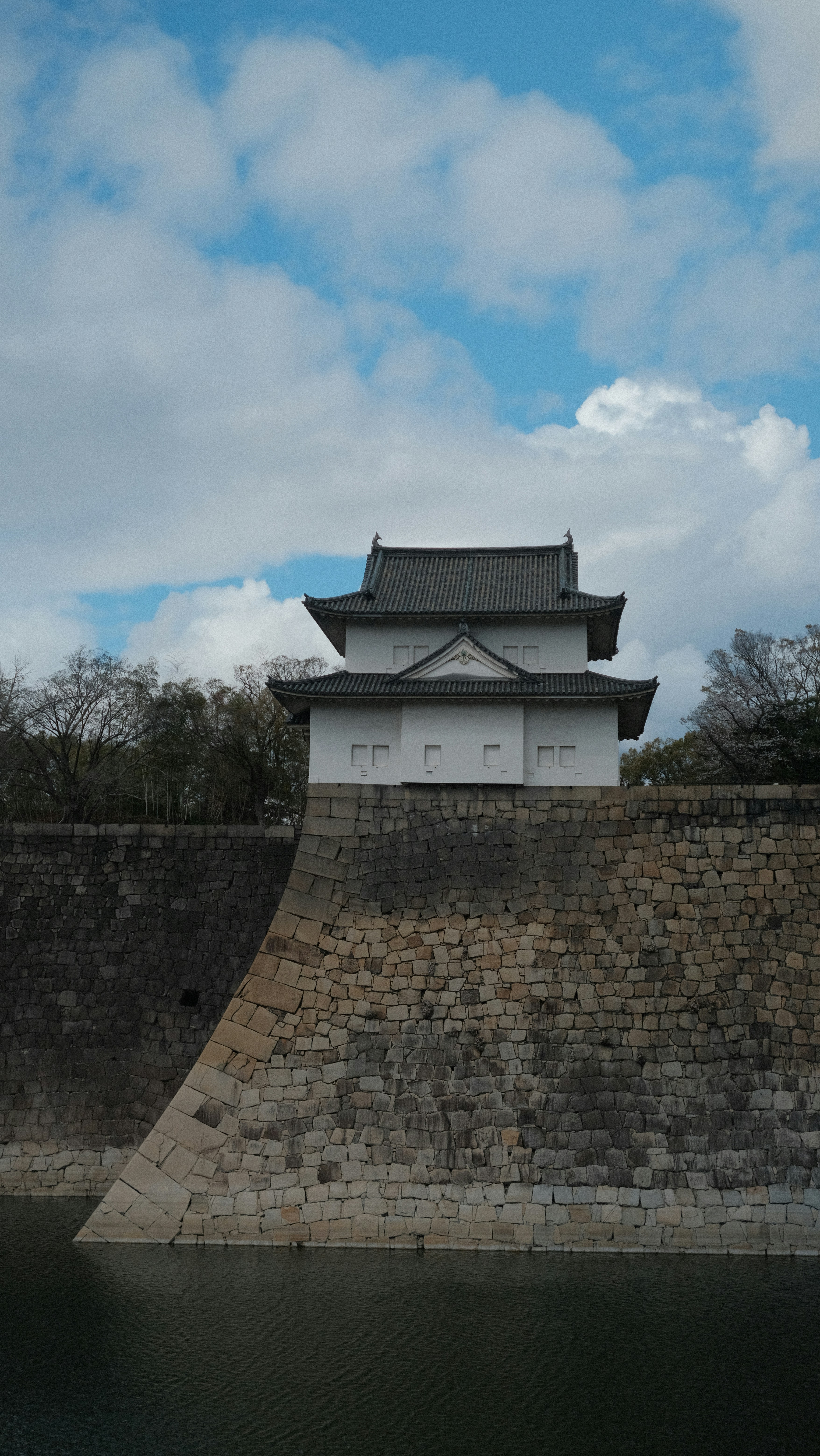 Guardian of the Waters: A Timeless Fortress