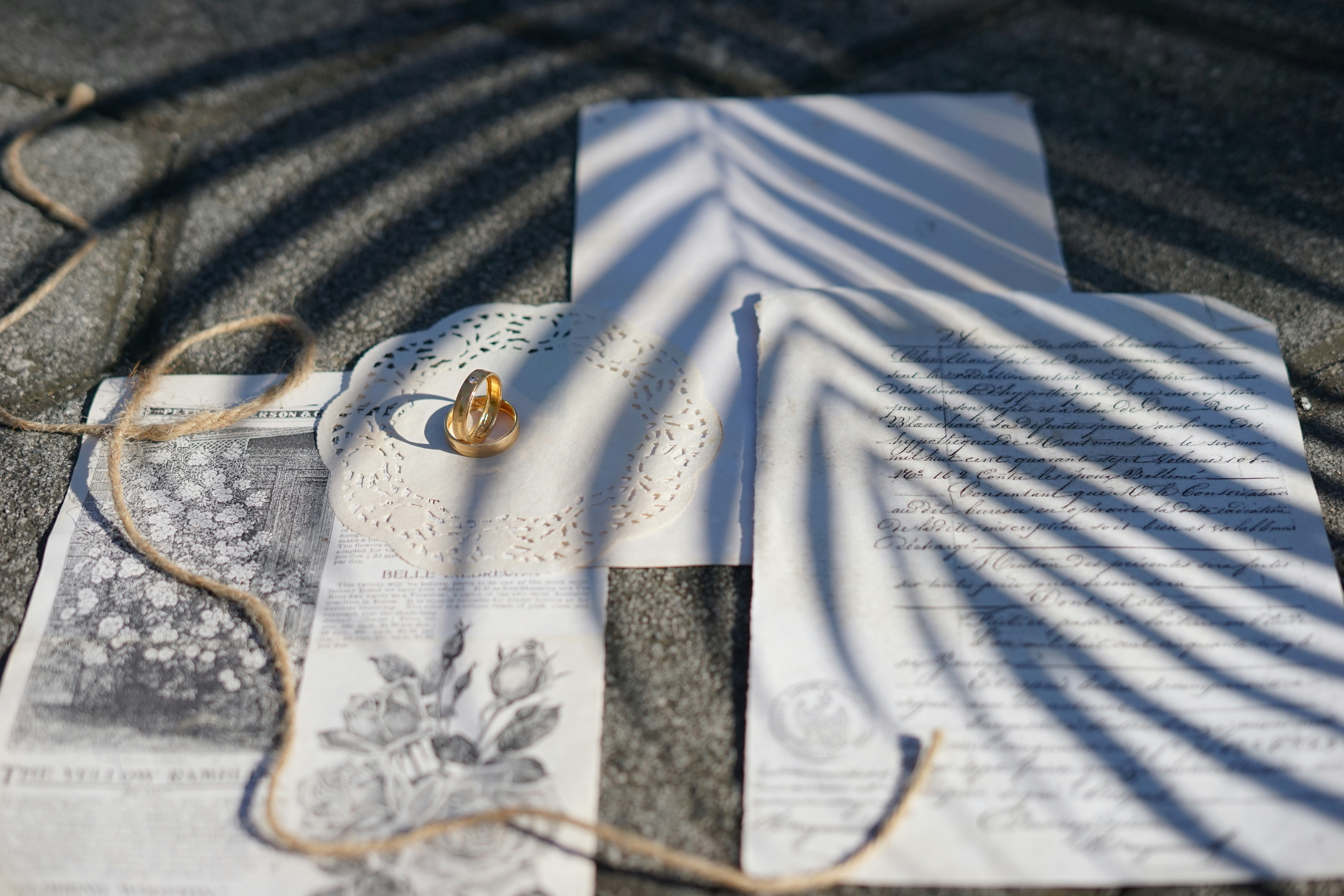 Whispers of the Past: A Delicate Arrangement