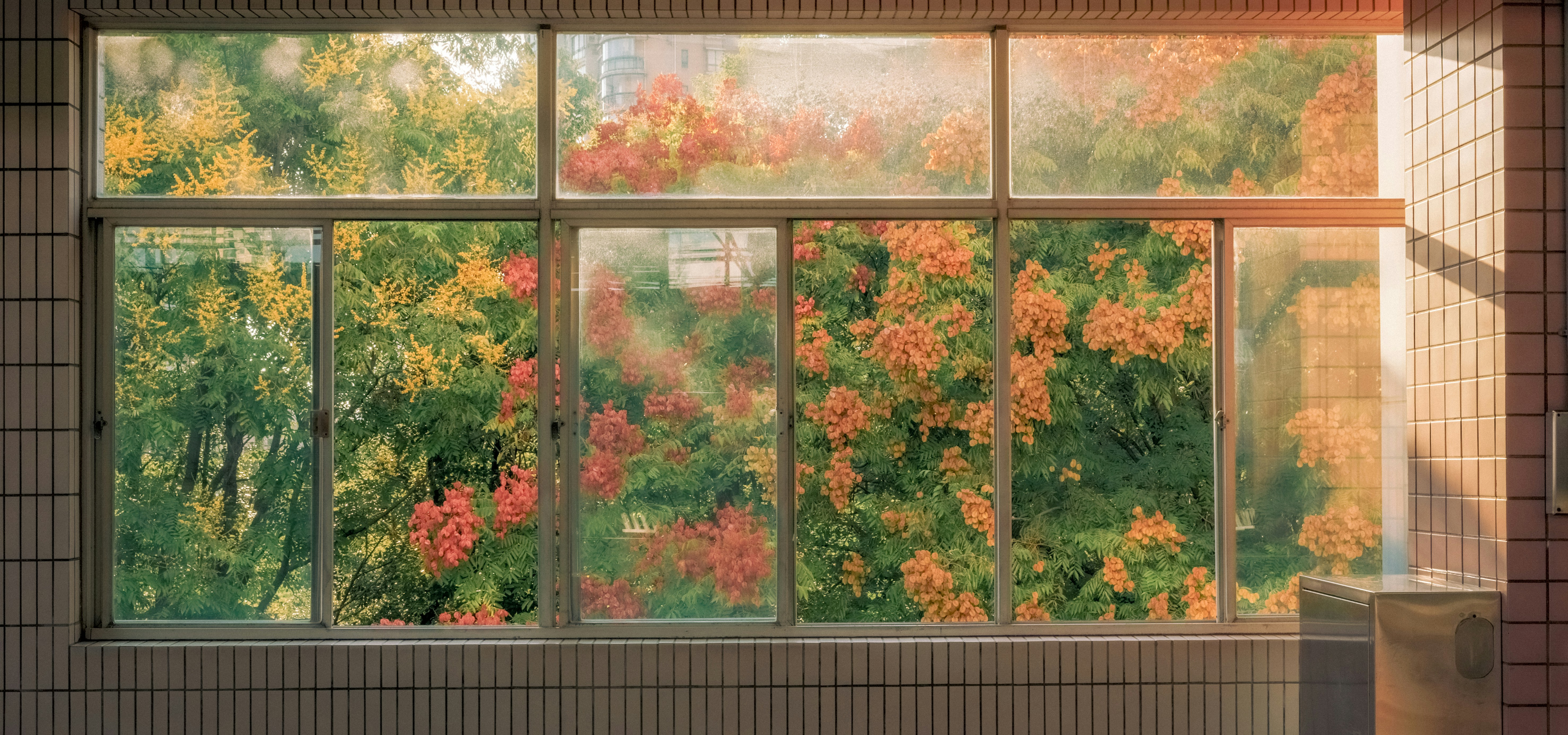 Nature's Canvas: A Floral Mosaic Through Glass