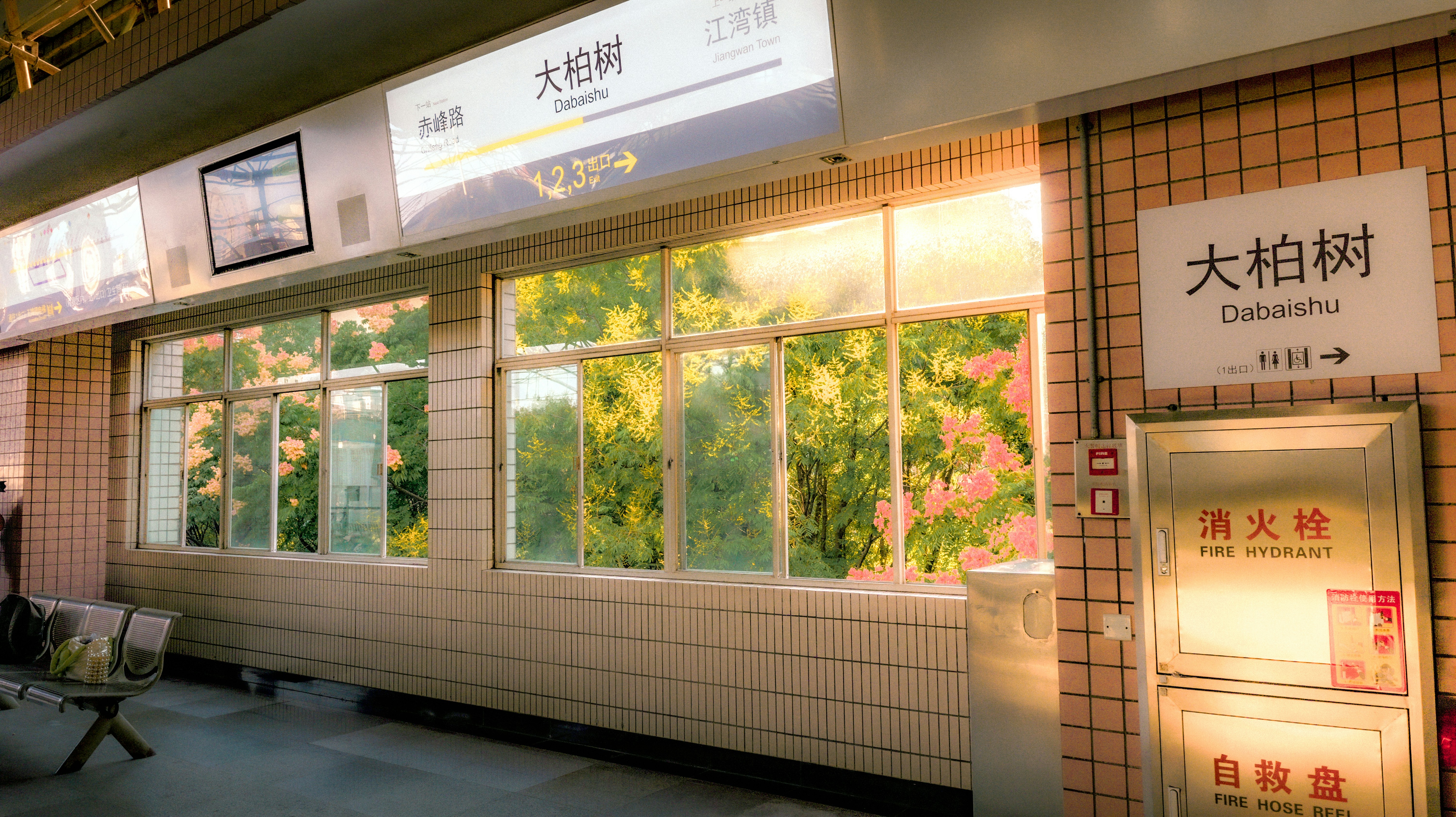 Whispers of Nature at the Train Station