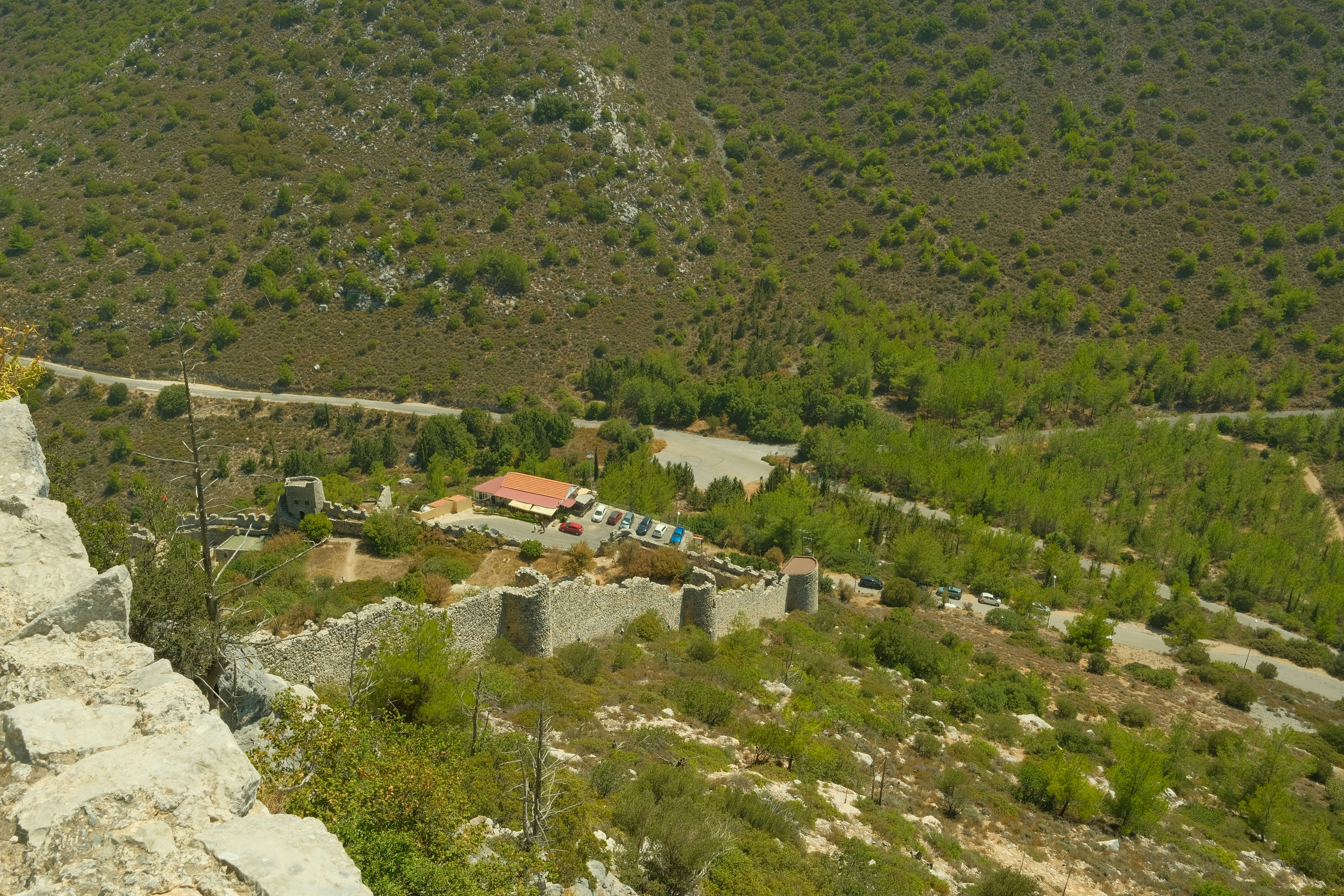 Ruins Amidst Nature's Embrace