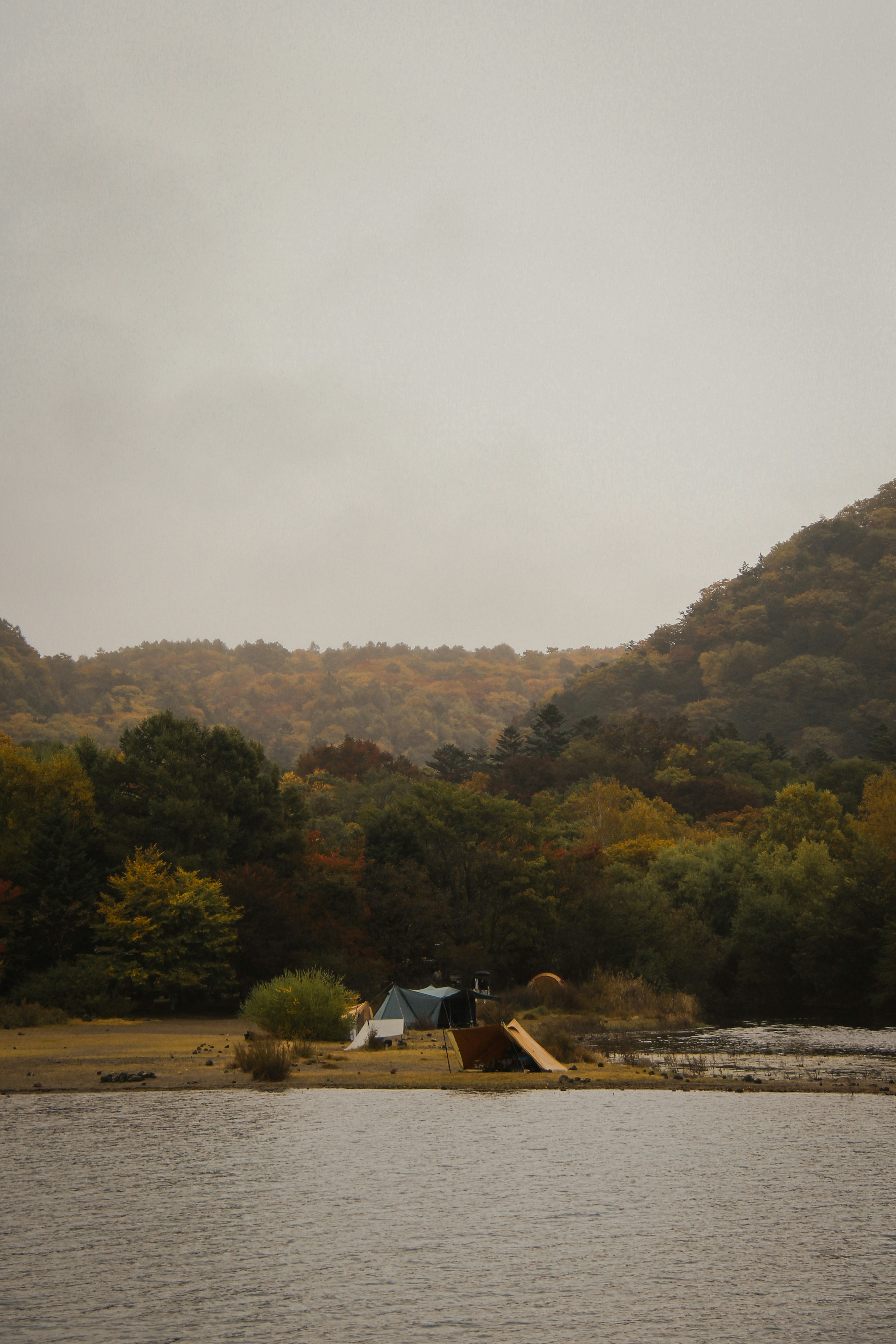 Autumn's Whisper by the Water