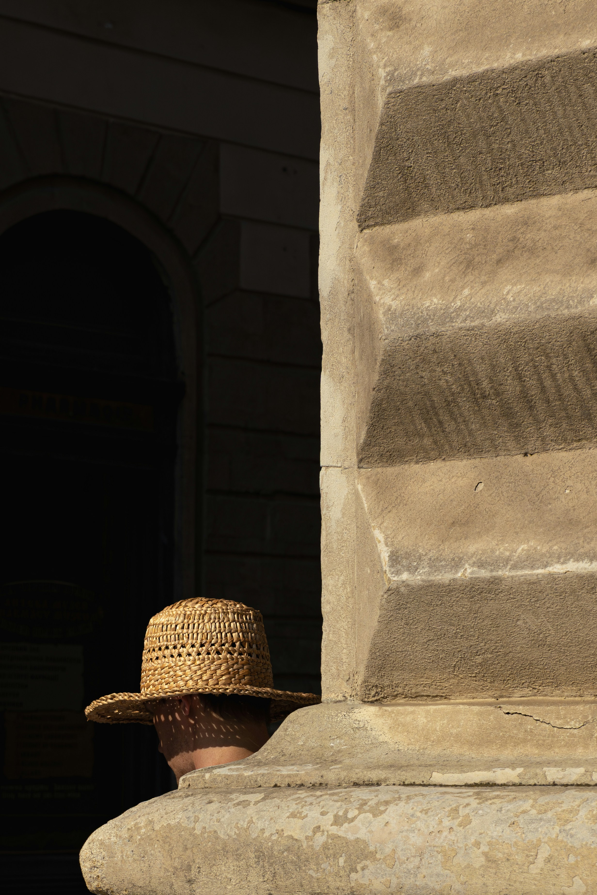 Whispers of Shade: A Silent Encounter
