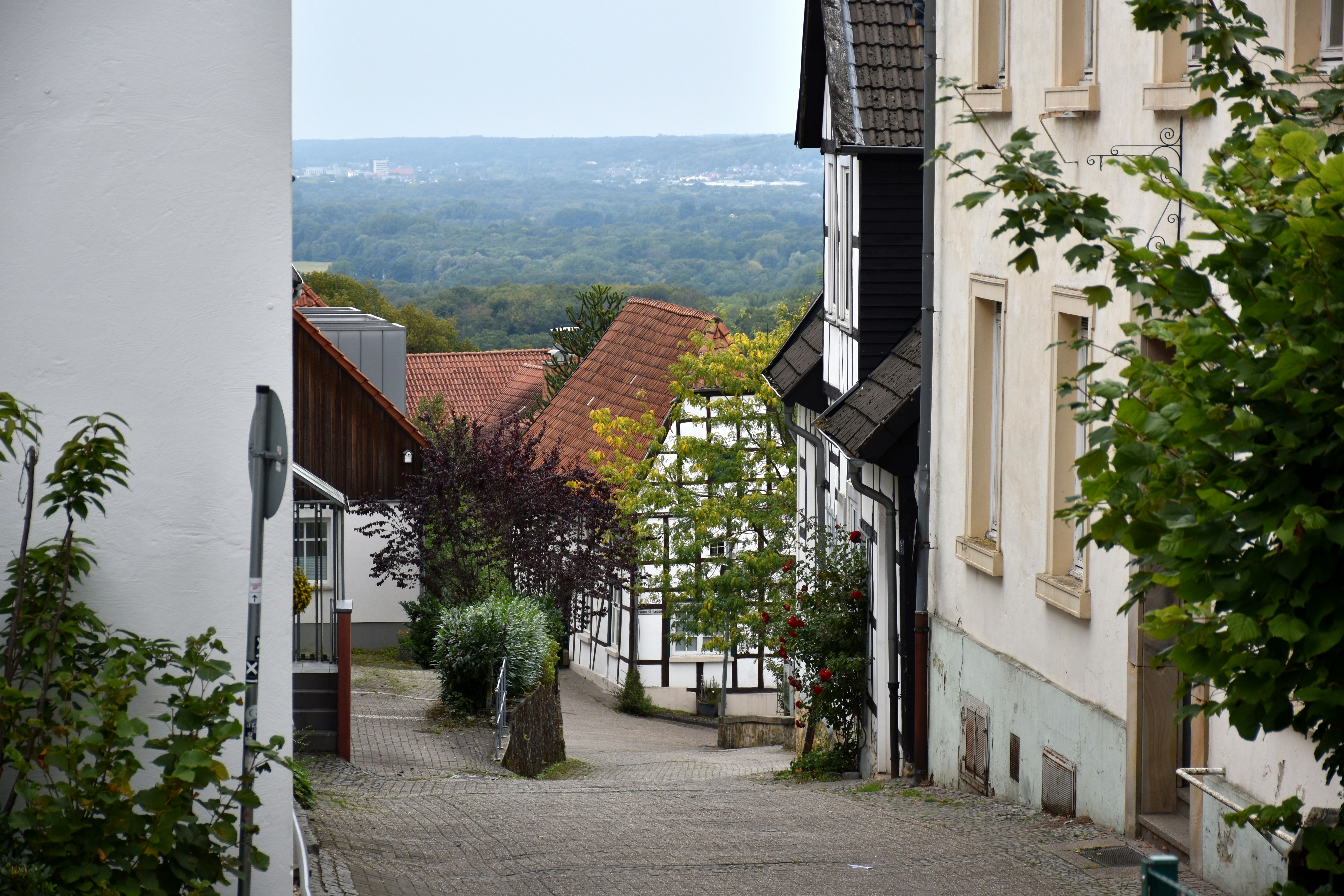 A vista (Germany - architecture -travel) | A quaint european village street with distant forest landscape