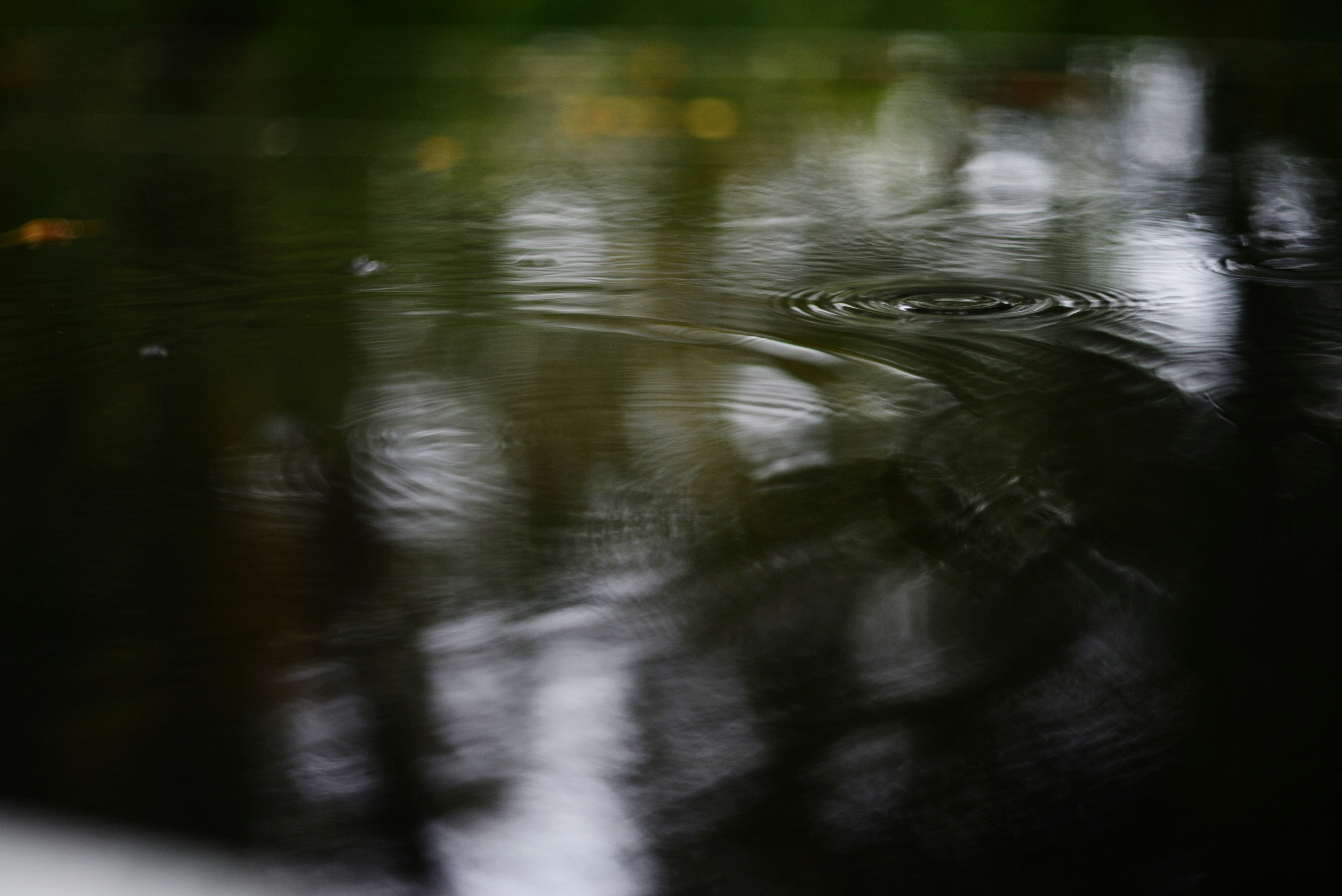 Whispers of Water: A Dance of Ripples