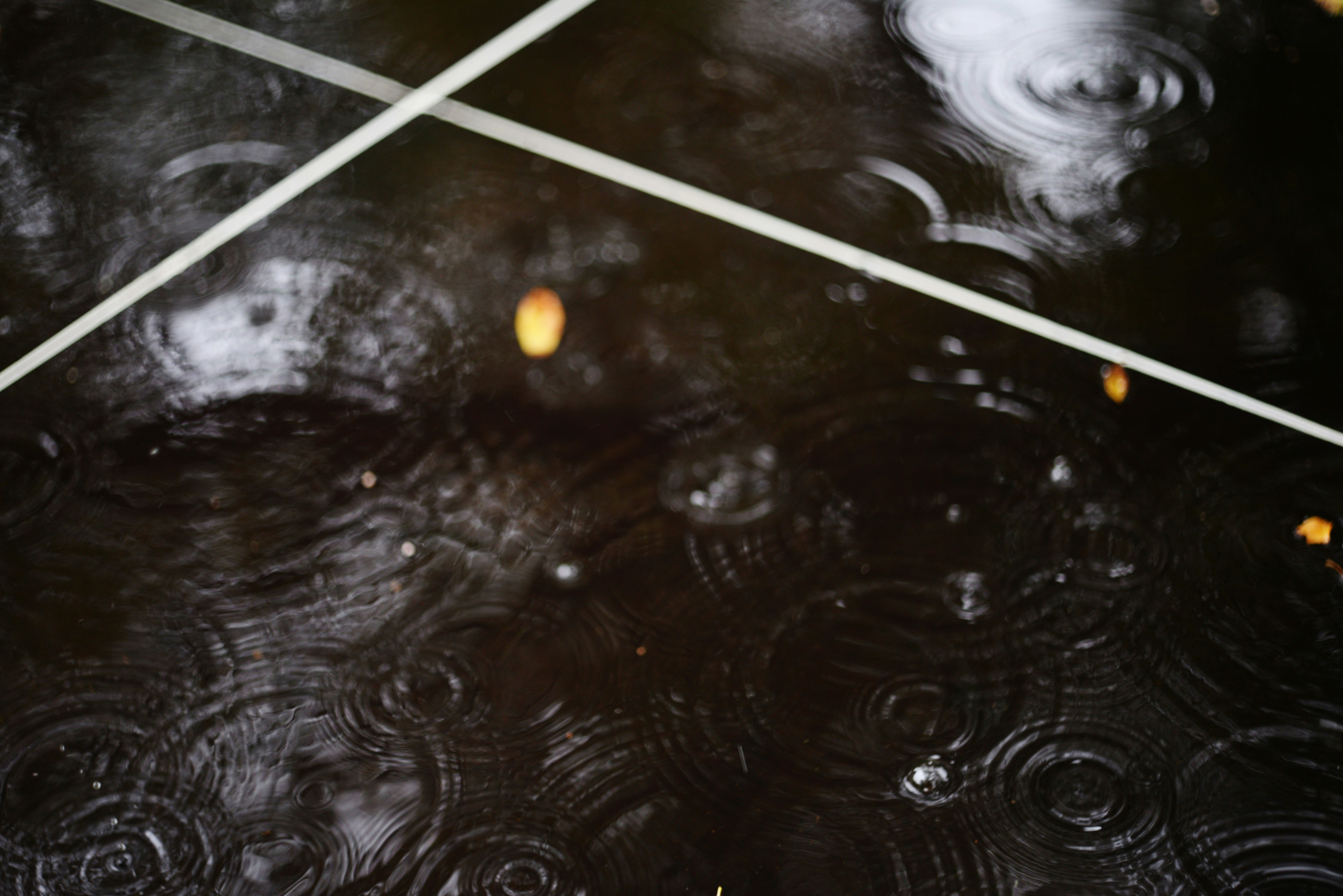 Ripples of Reflection on a Rainy Day
