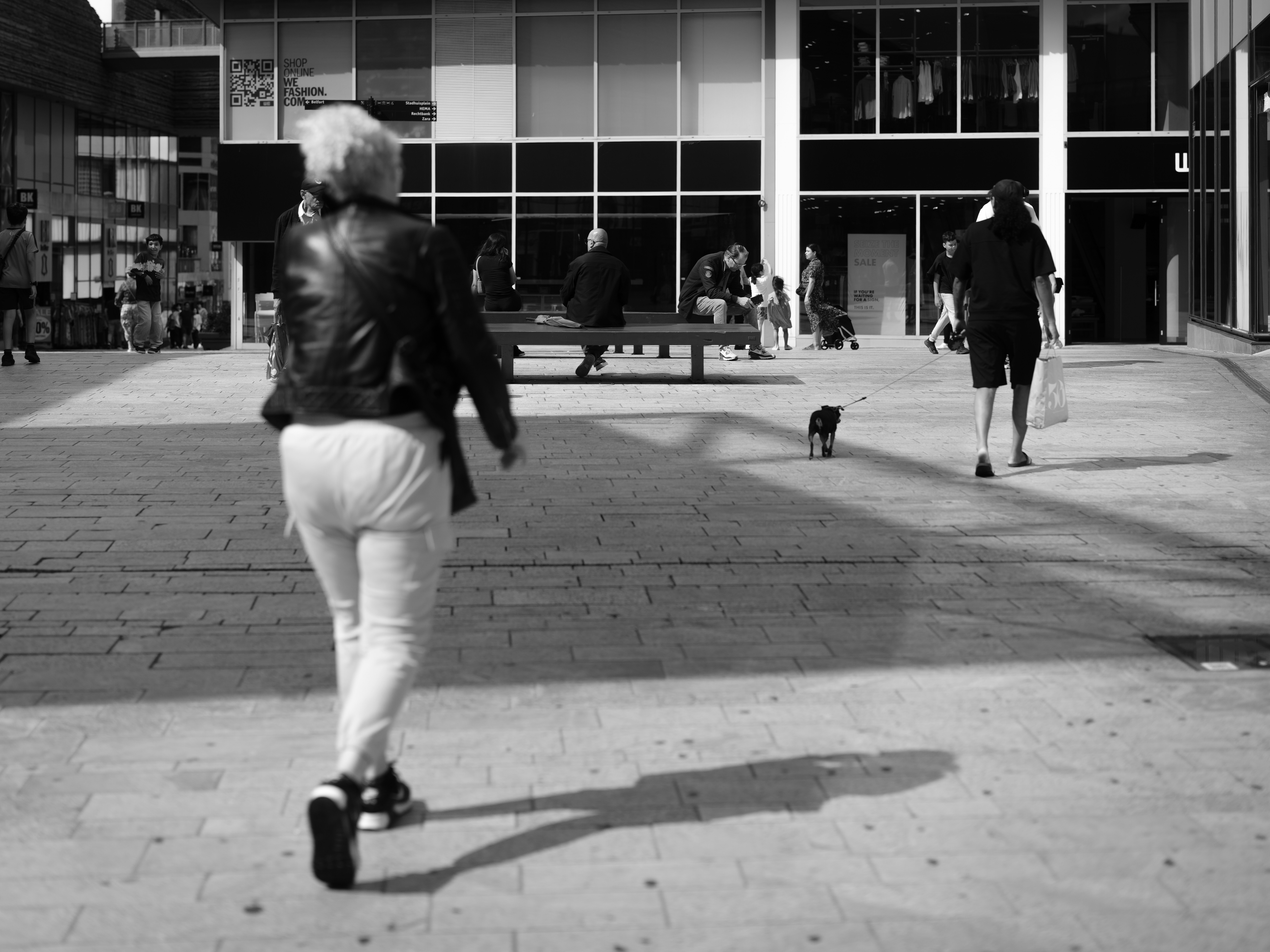 Urban Stroll: A Moment in Motion