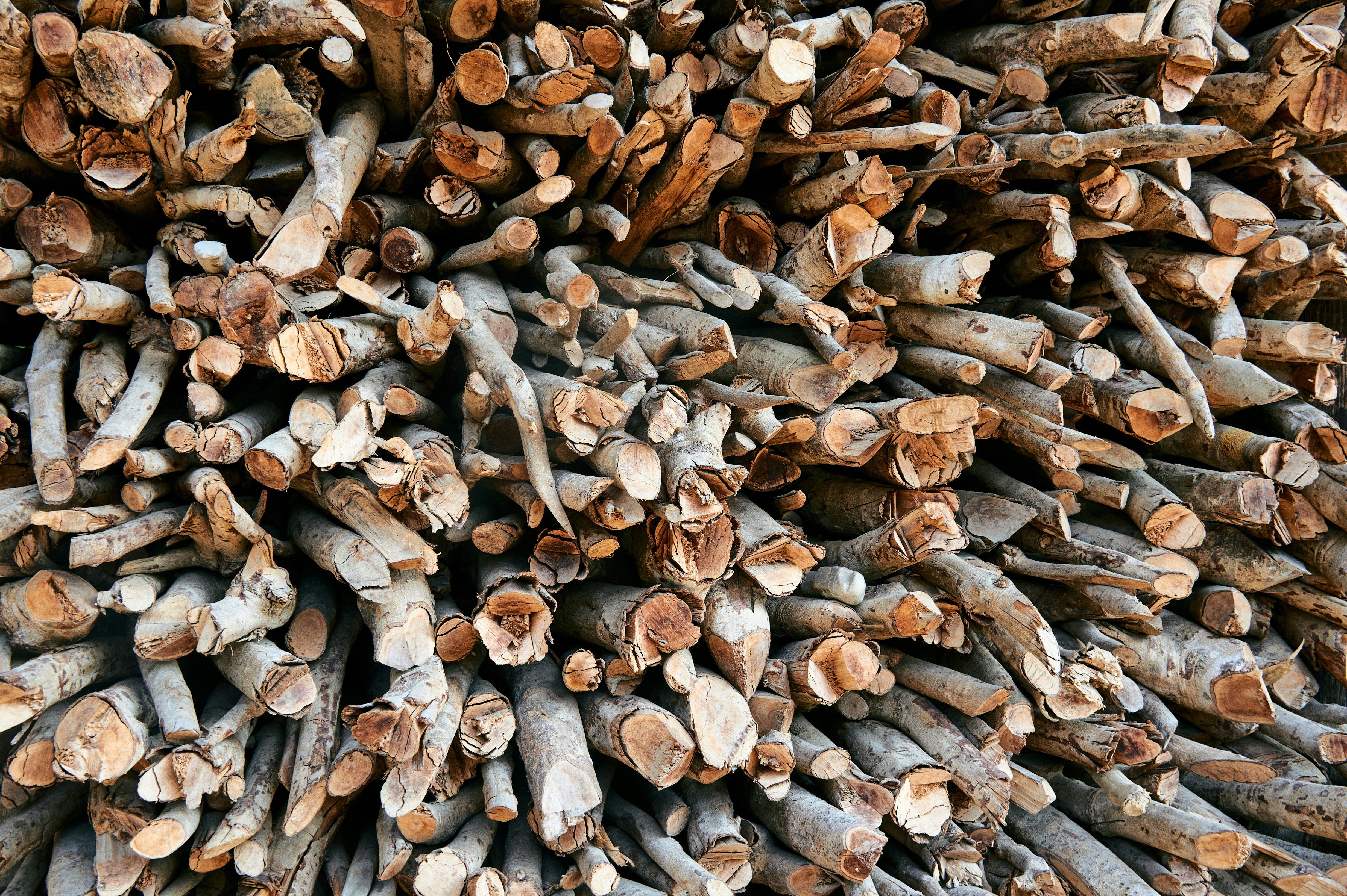 Stacks of firewood in Chiang Mai Thailand | A large pile of cut firewood