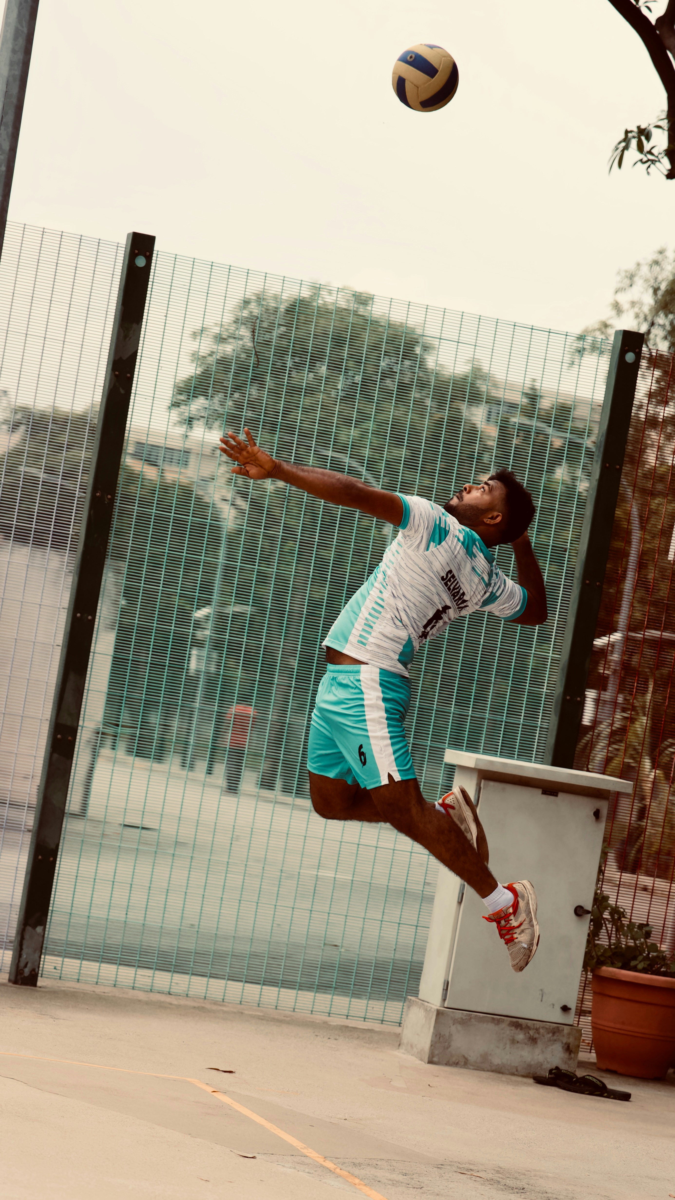 Soaring to Victory: The Art of Volleyball