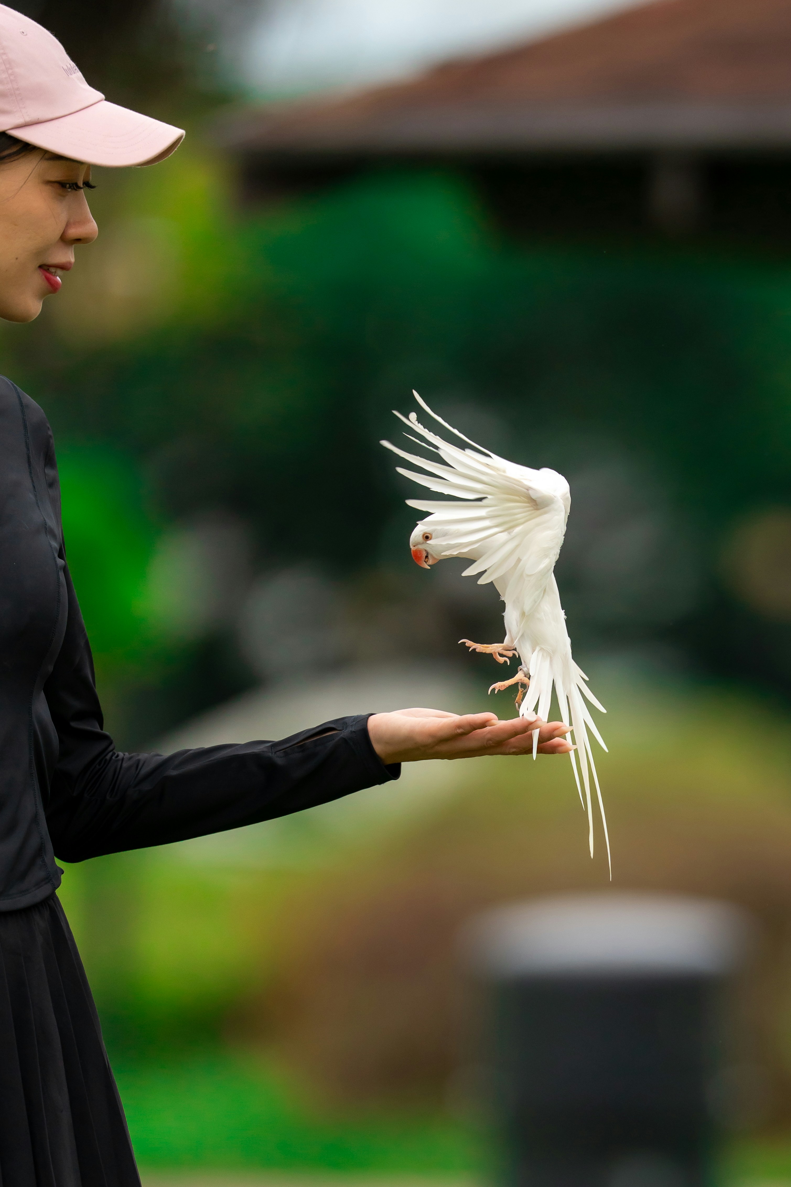 Graceful Encounter: A Dance with Nature