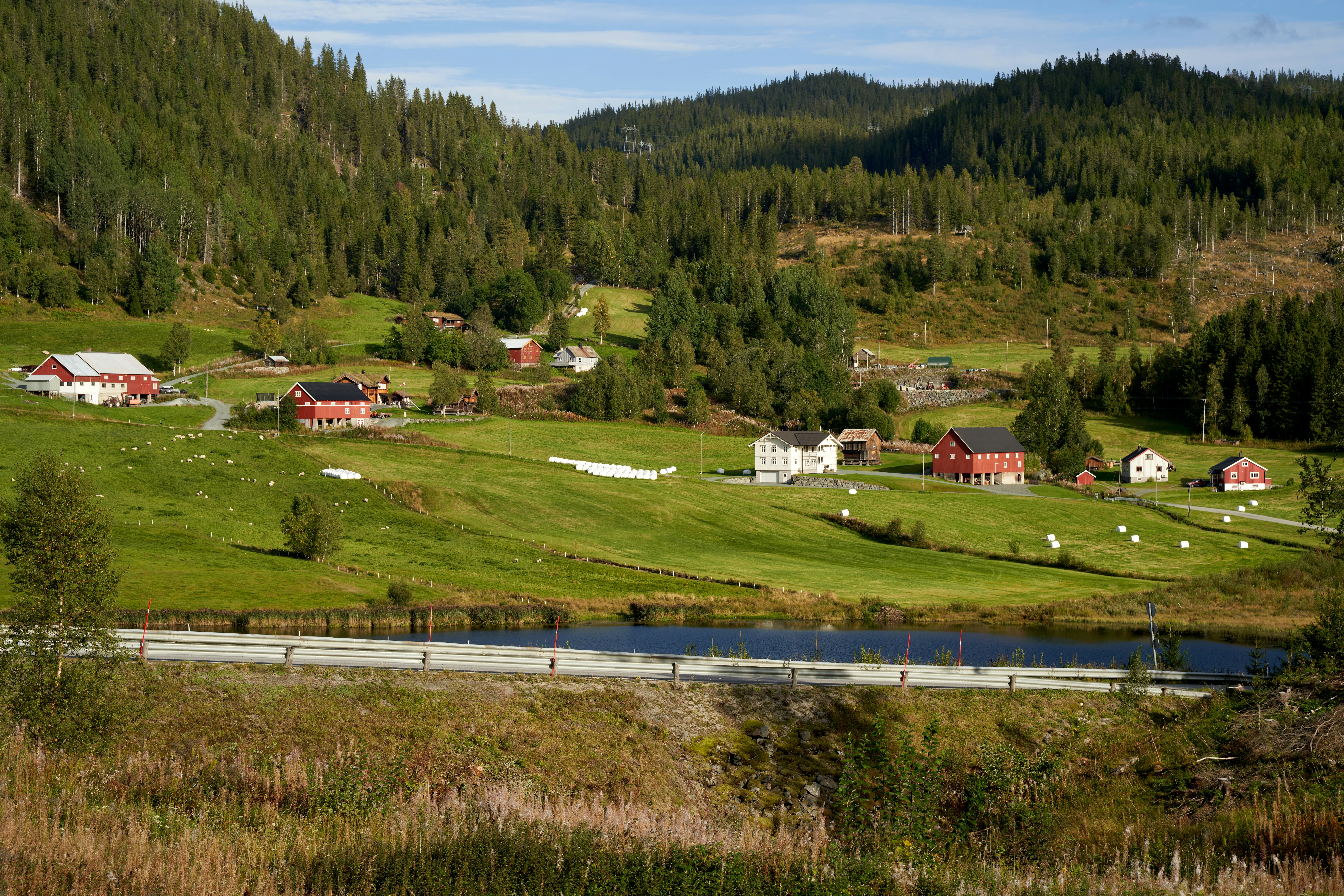 Serenity in the Scandinavian Countryside