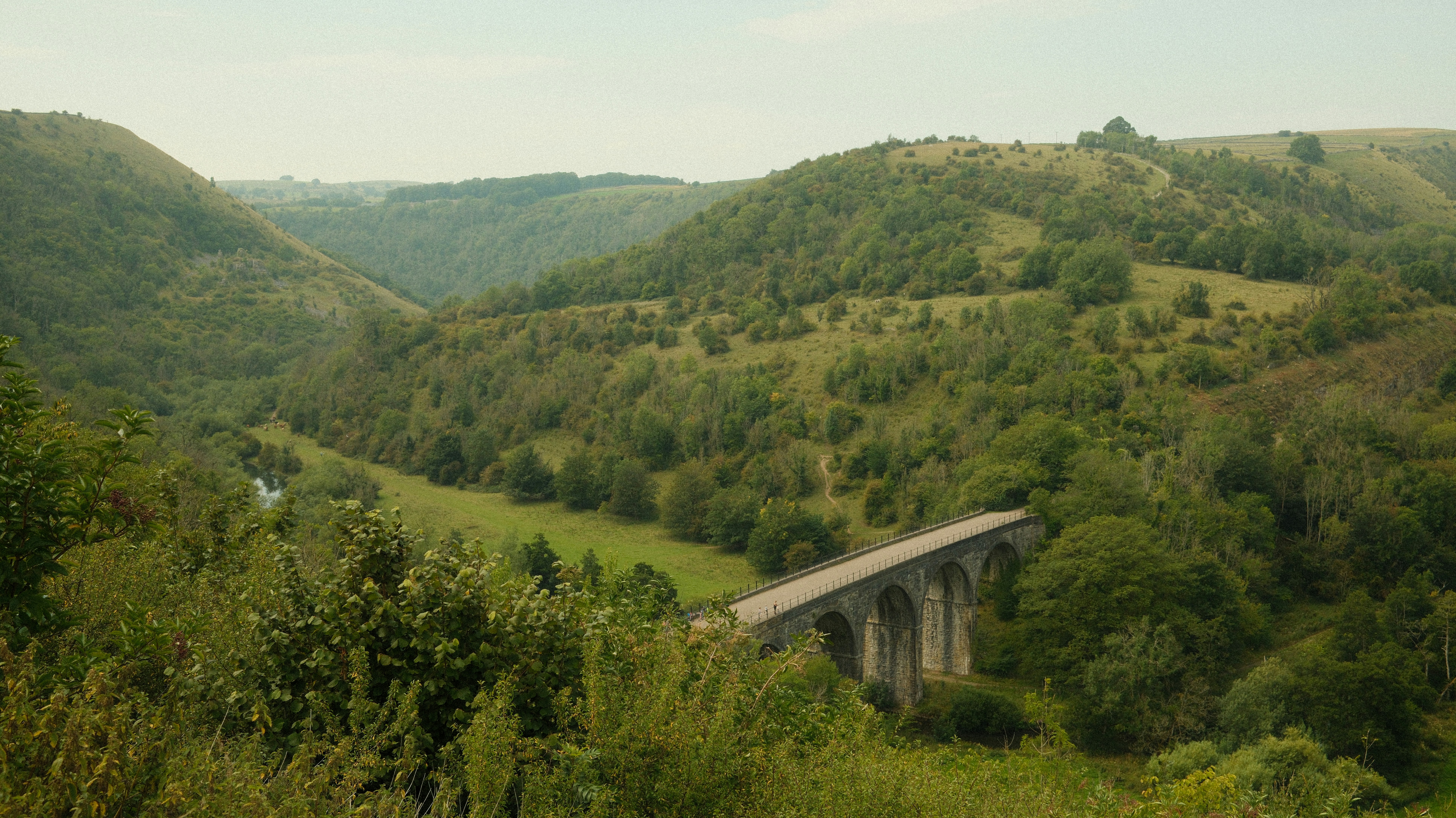 The Silent Sentinel: A Bridge Amidst Nature's Embrace